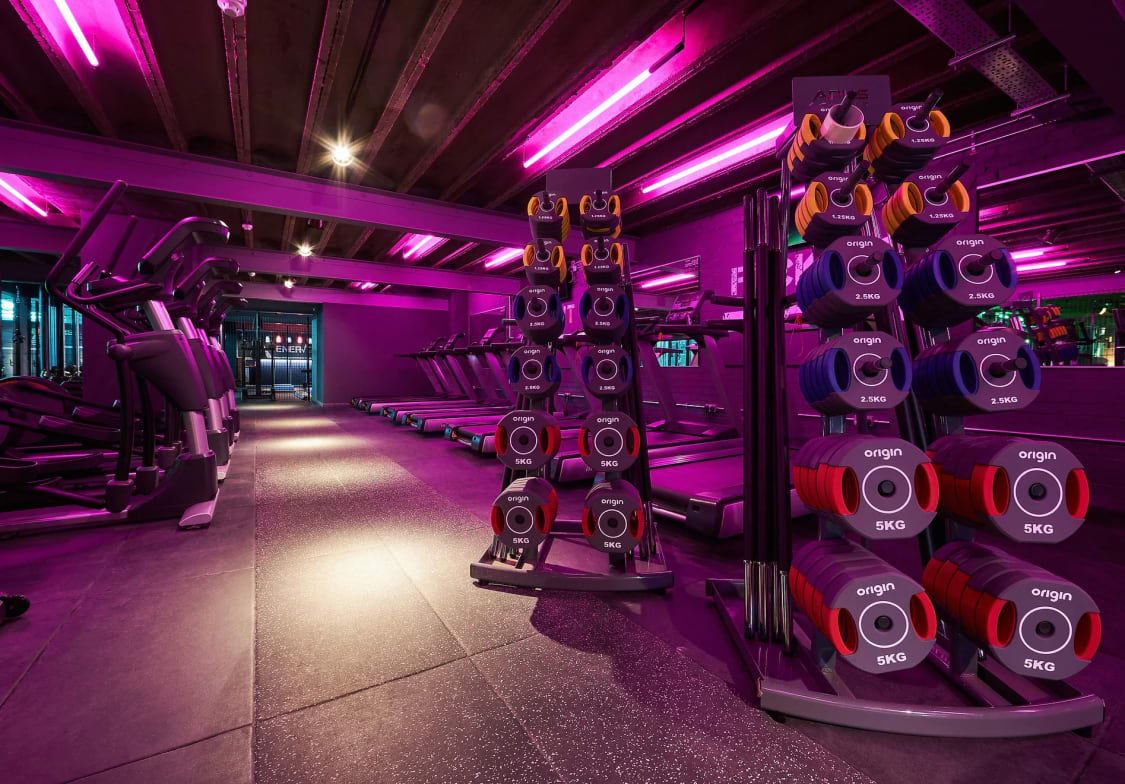 Ealing Synergy 2023's Best Sales Homes