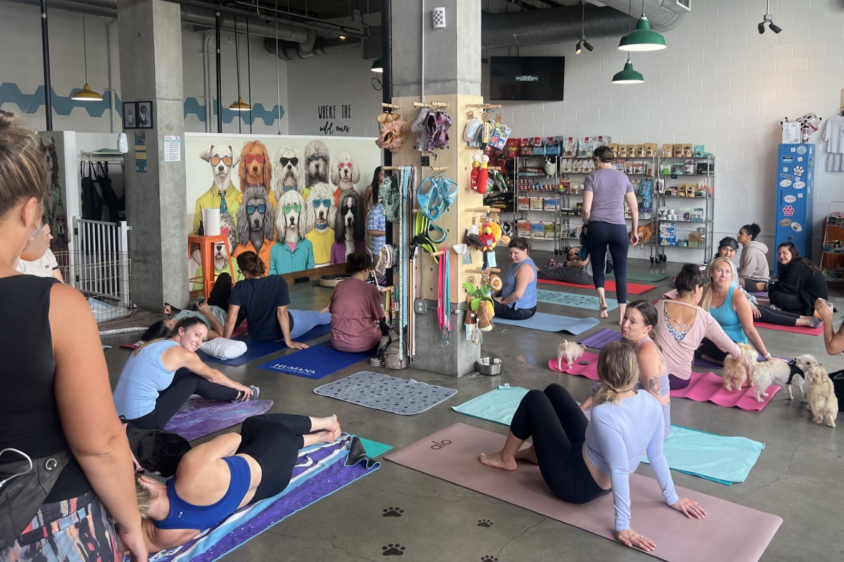 Pure Pawsh: Read Reviews and Book Classes on ClassPass