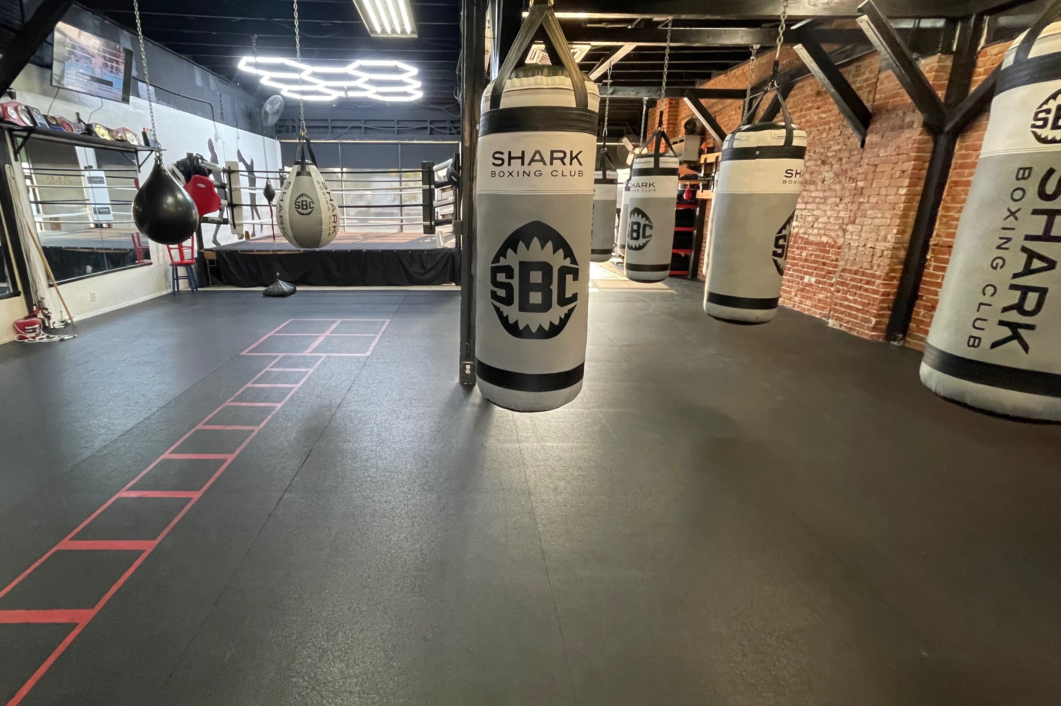 Shark Boxing Club: Read Reviews and Book Classes on ClassPass
