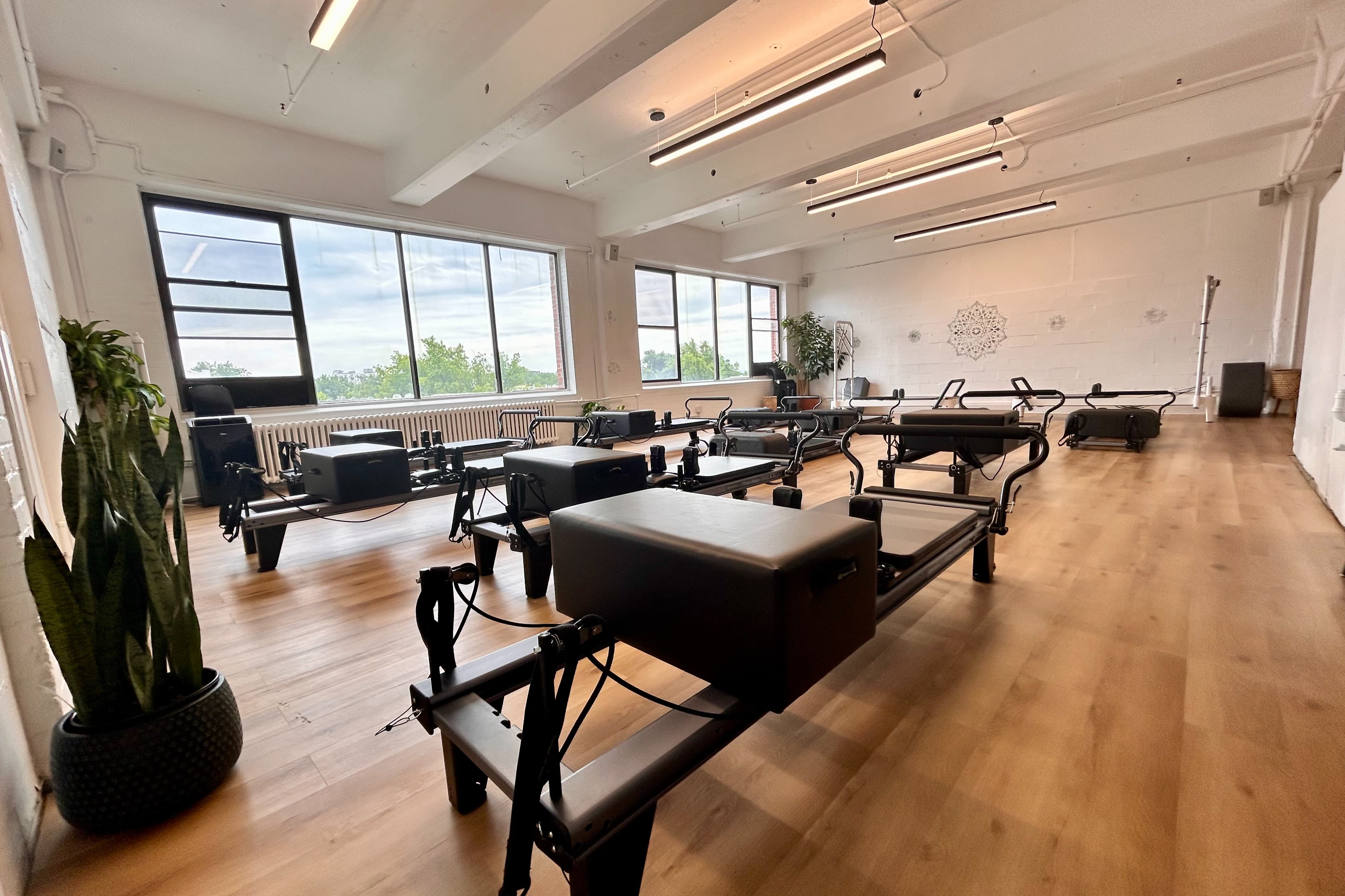 Mouvement Humain - Yoga et Pilates - Le Plateau: Read Reviews and Book ...