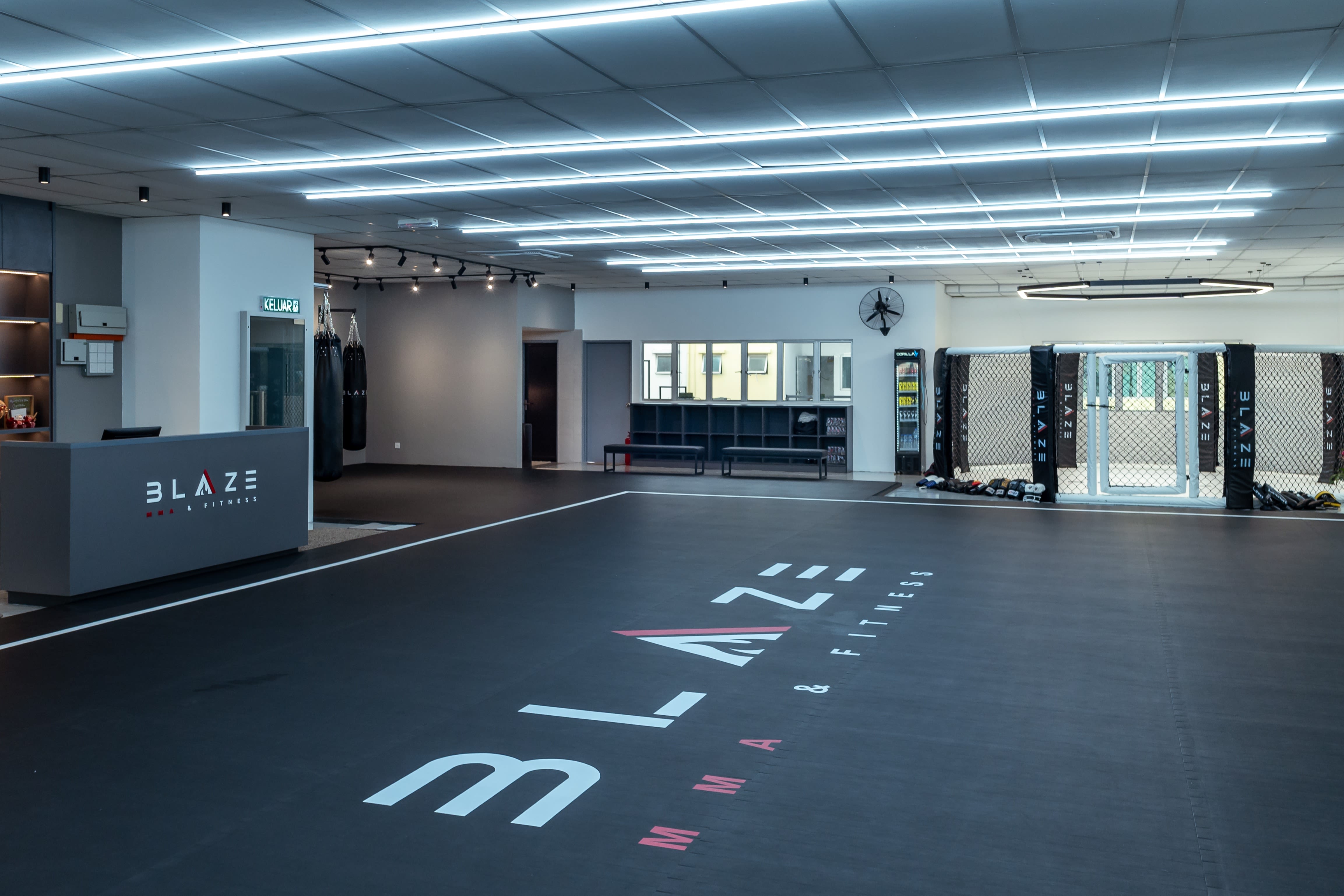 Blaze MMA & Fitness: Read Reviews and Book Classes on ClassPass