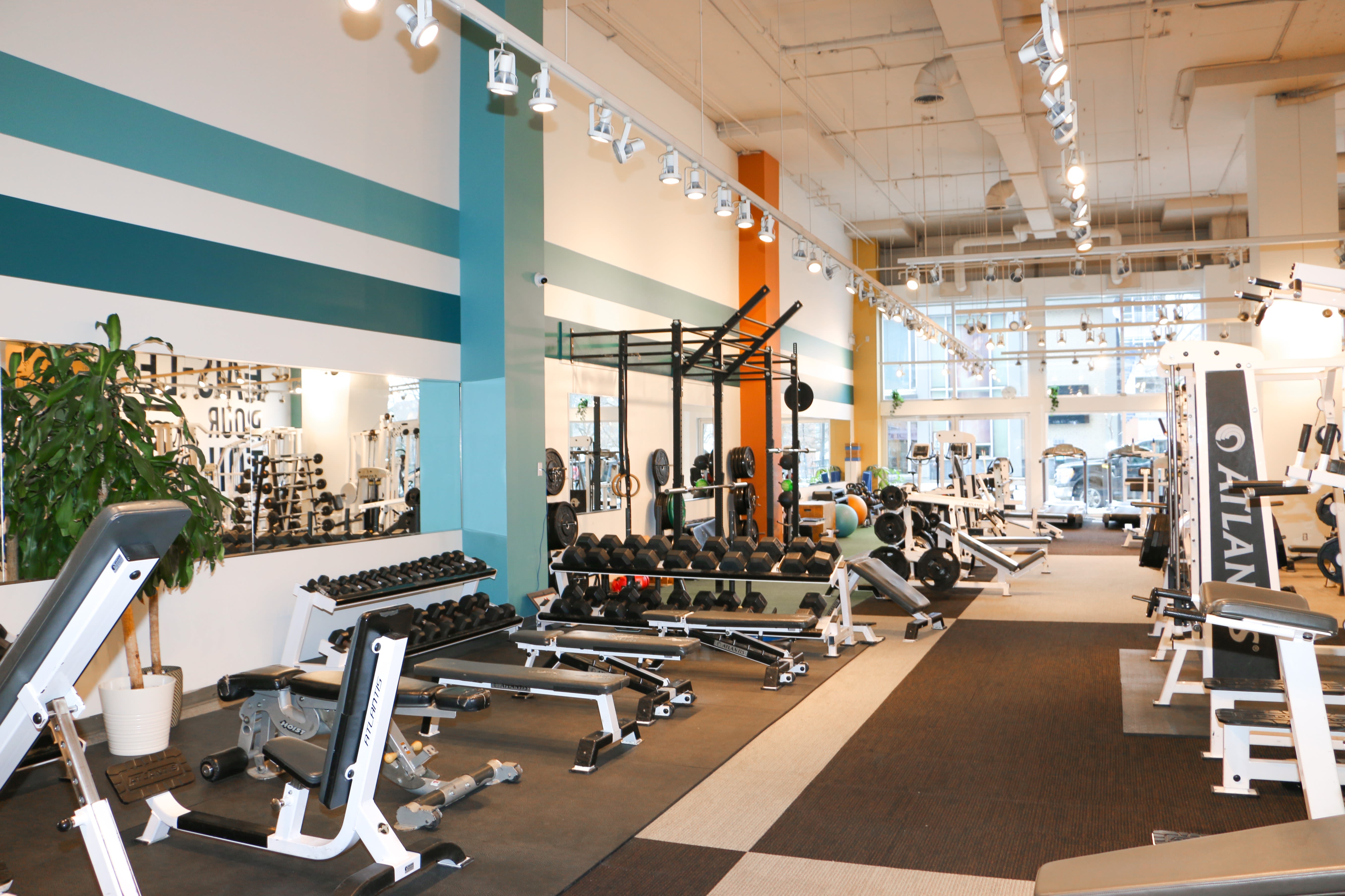 M Fitness: Read Reviews and Book Classes on ClassPass