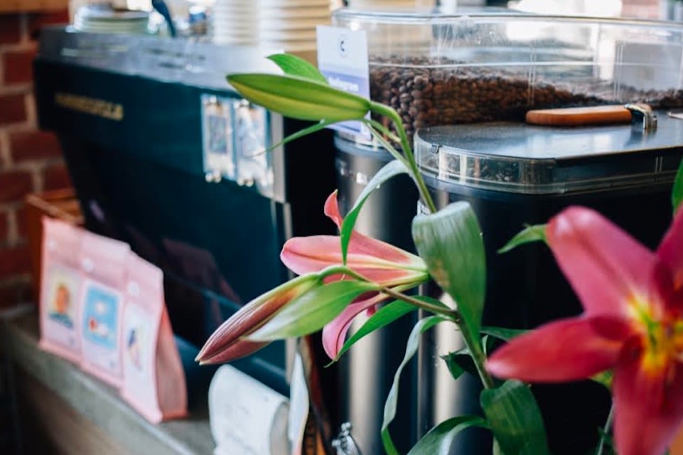 Paper Son Coffee: Read Reviews and Book Classes on ClassPass