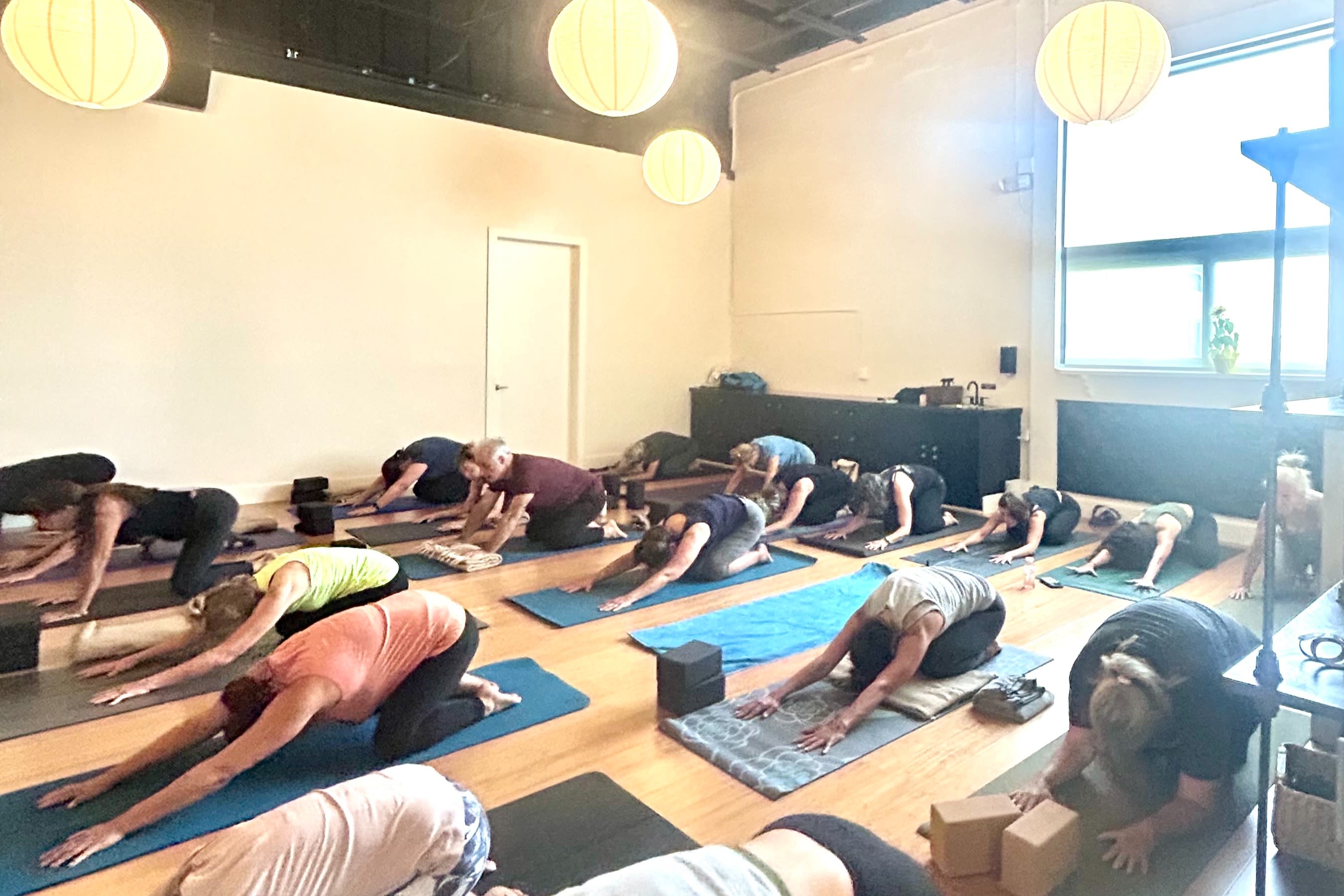 Bindu Yoga and Wellness: Read Reviews and Book Classes on ClassPass
