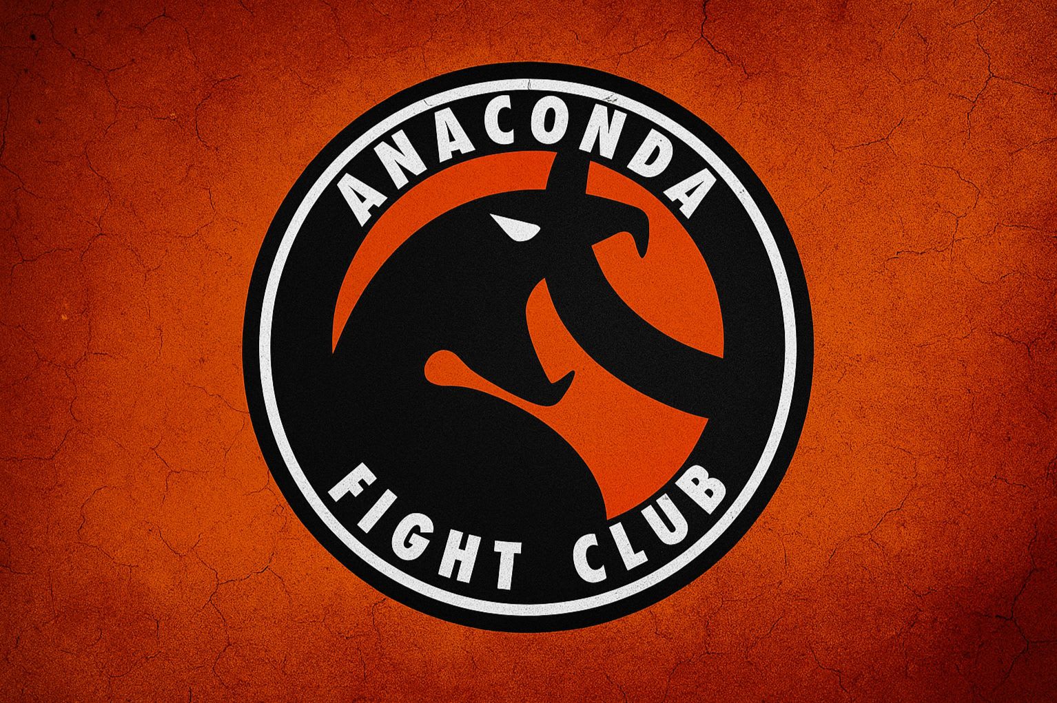 Anaconda Fight Club: Read Reviews and Book Classes on ClassPass