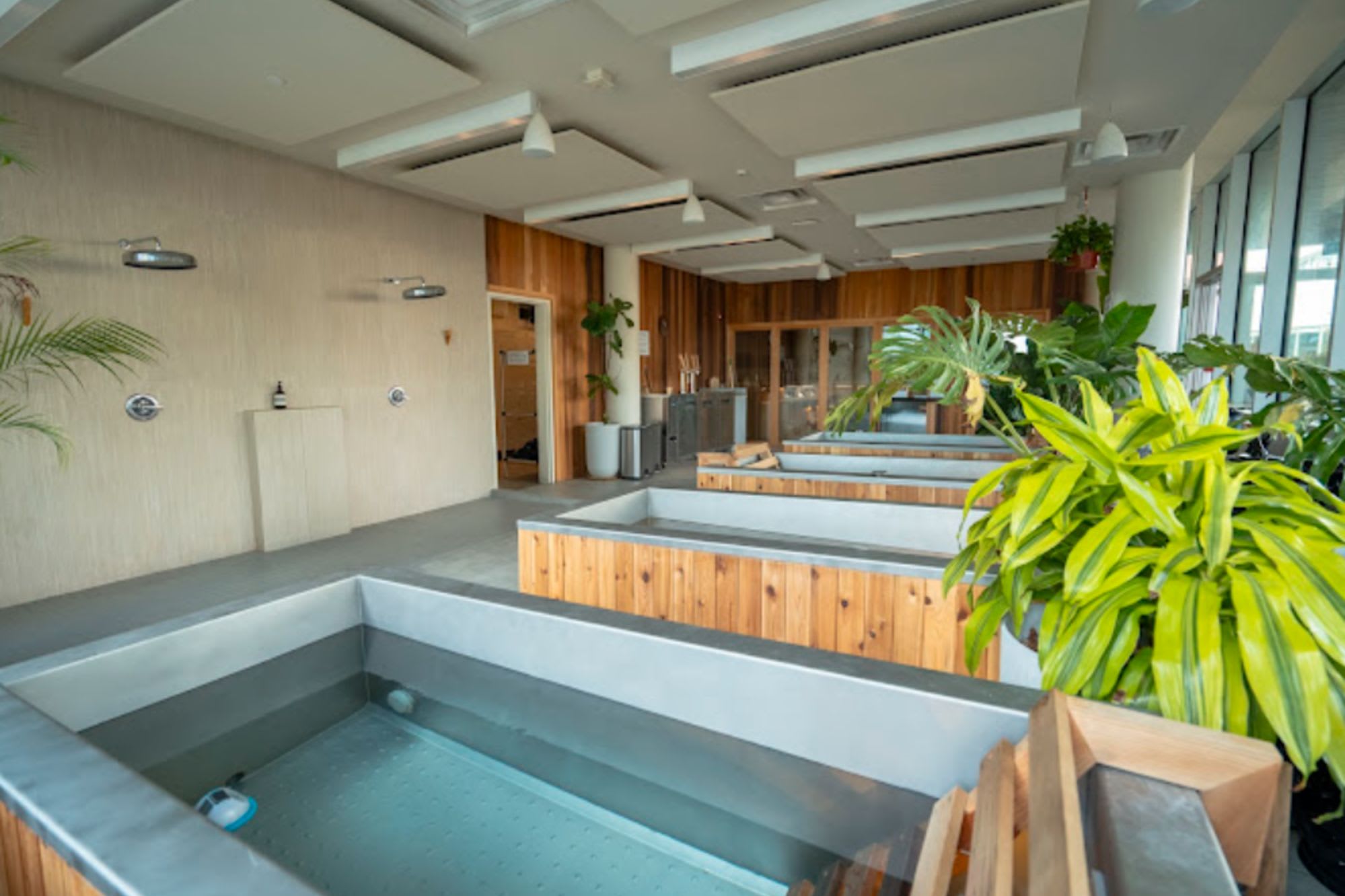 Tality Wellness: Read Reviews and Book Classes on ClassPass