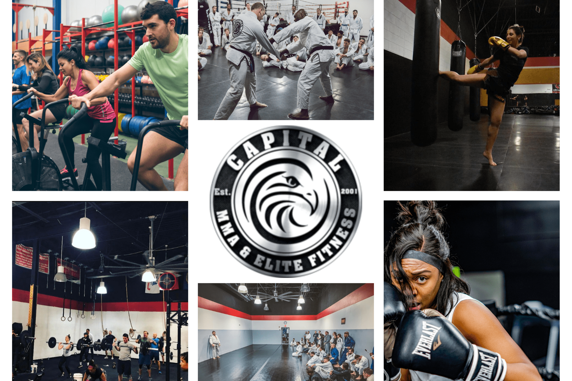 Capital MMA & Elite Fitness - Alexandria: Read Reviews and Book Classes ...