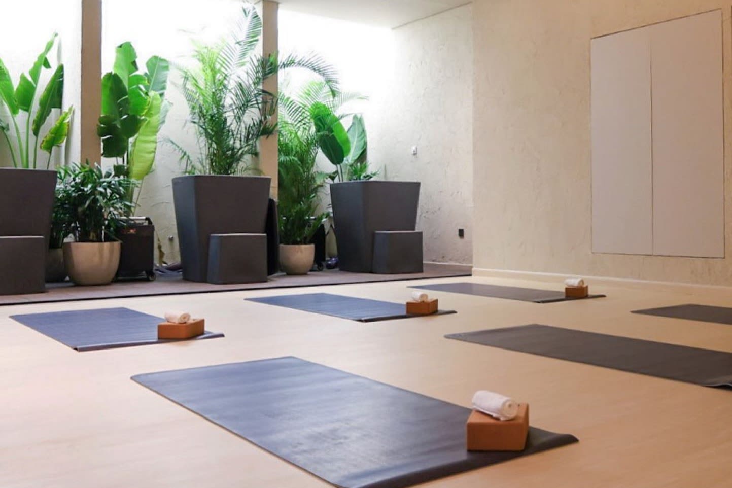 Recovery Island: Read Reviews and Book Classes on ClassPass
