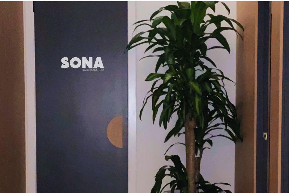 Sona Rooms: Read Reviews and Book Classes on ClassPass