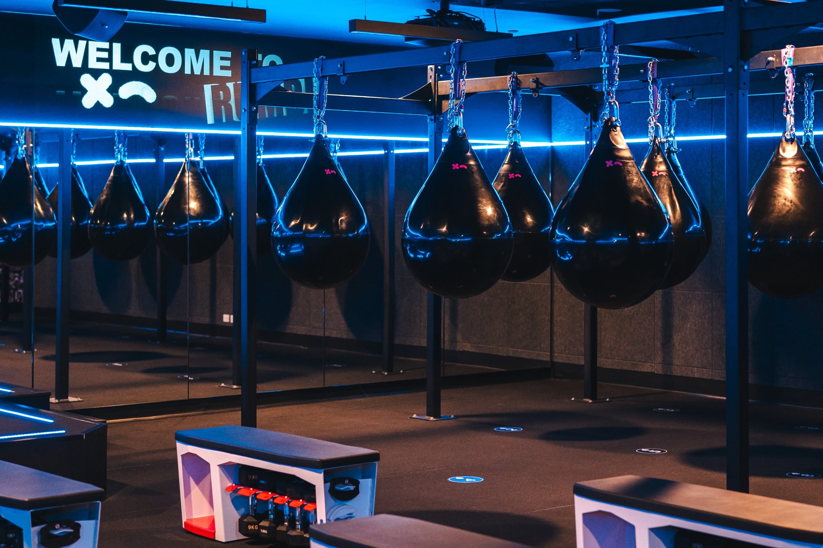 Rumble Boxing - Newstead: Read Reviews and Book Classes on ClassPass