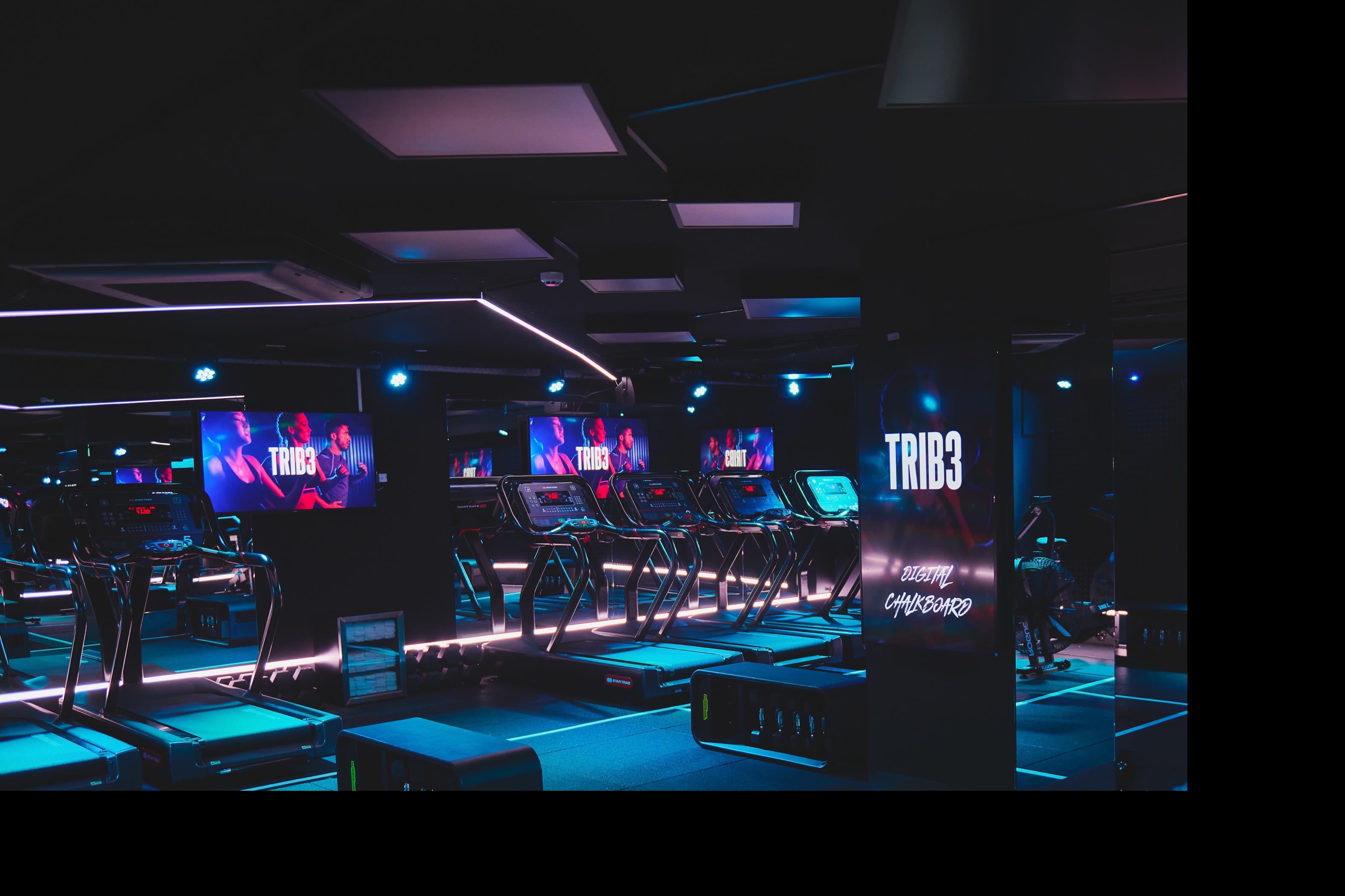 TRIB3 - Rozengracht: Read Reviews and Book Classes on ClassPass