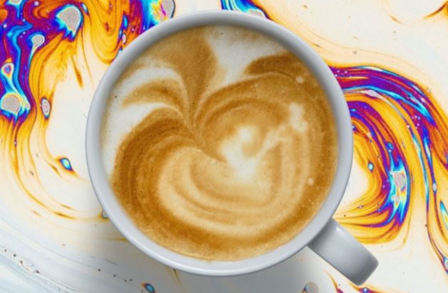 The Drip House Coffee: Read Reviews and Book Classes on ClassPass