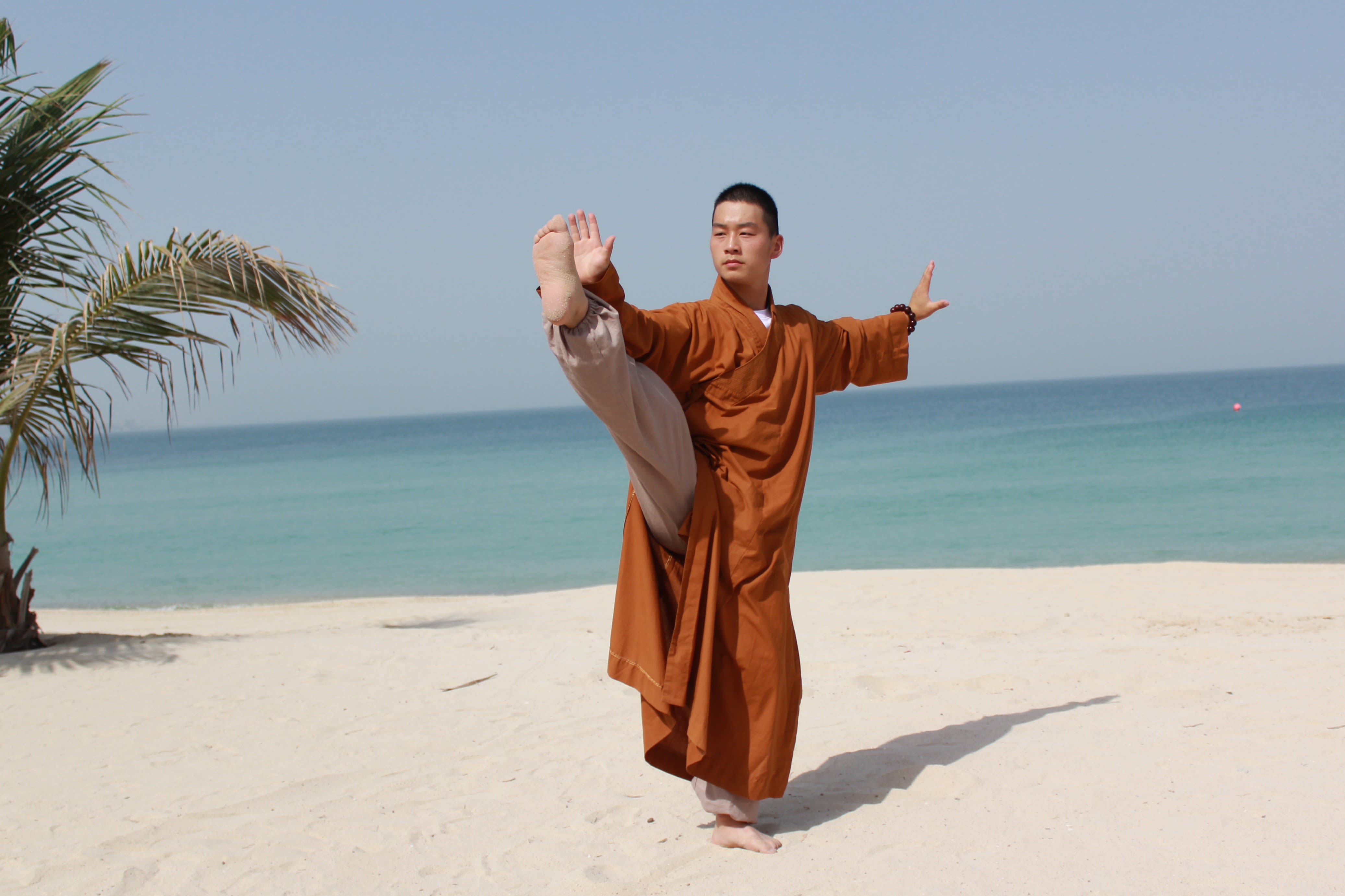Zen Shaolin Martial Arts: Read Reviews and Book Classes on ClassPass