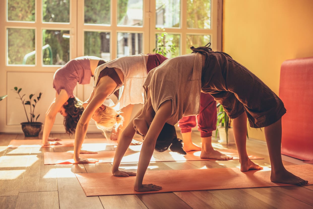 Dharma Yoga North (Oswego): Read Reviews and Book Classes on ClassPass