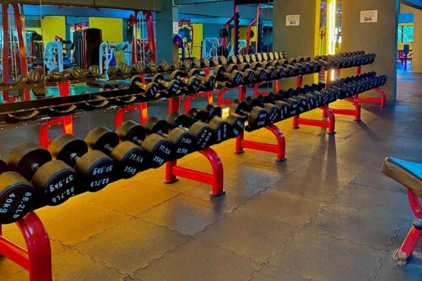 Seven Star Gym - Block 86 (Personal Training): Read Reviews and Book ...