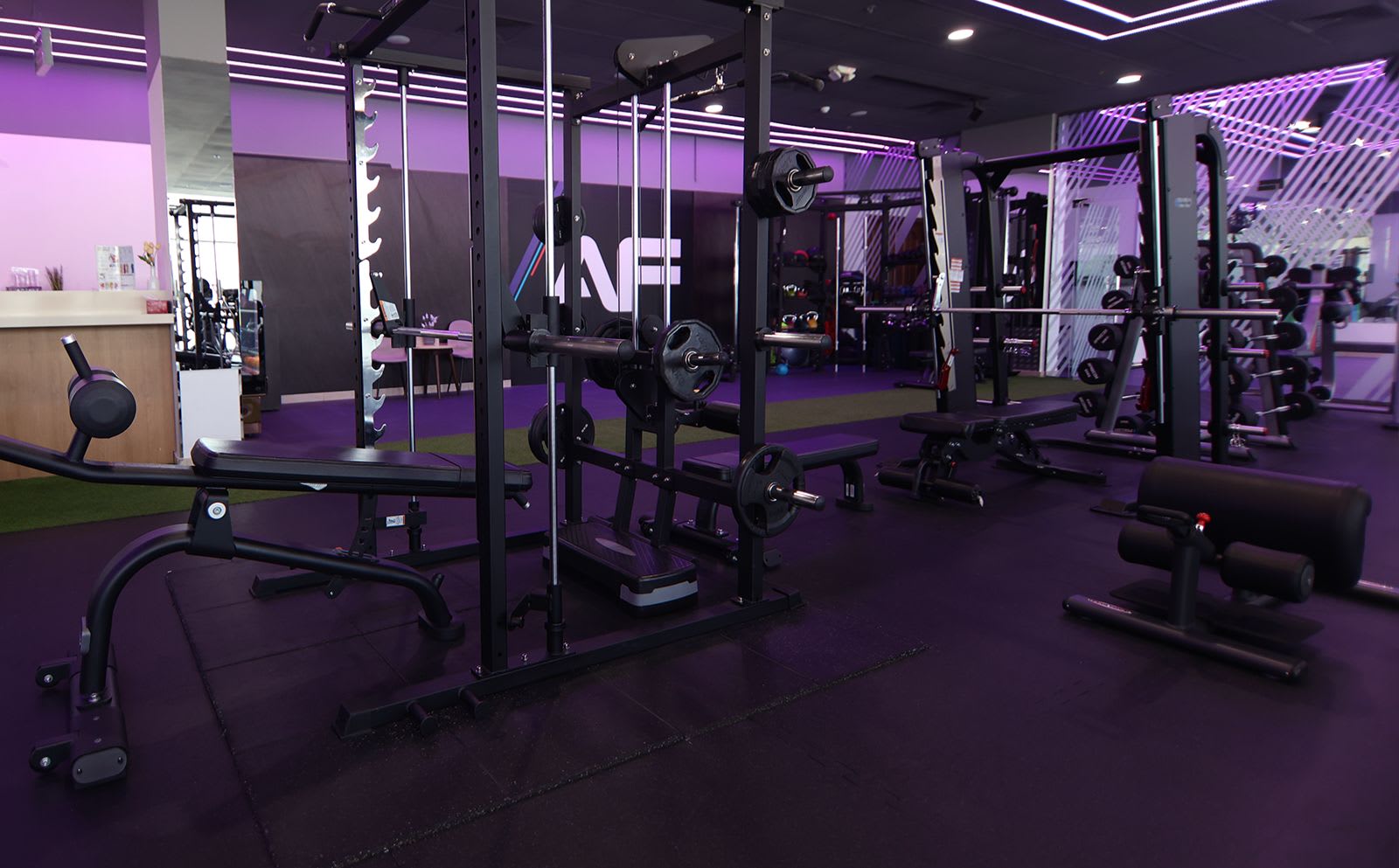 Anytime Fitness - Al Hilal Ladies: Read Reviews and Book Classes on ClassPass