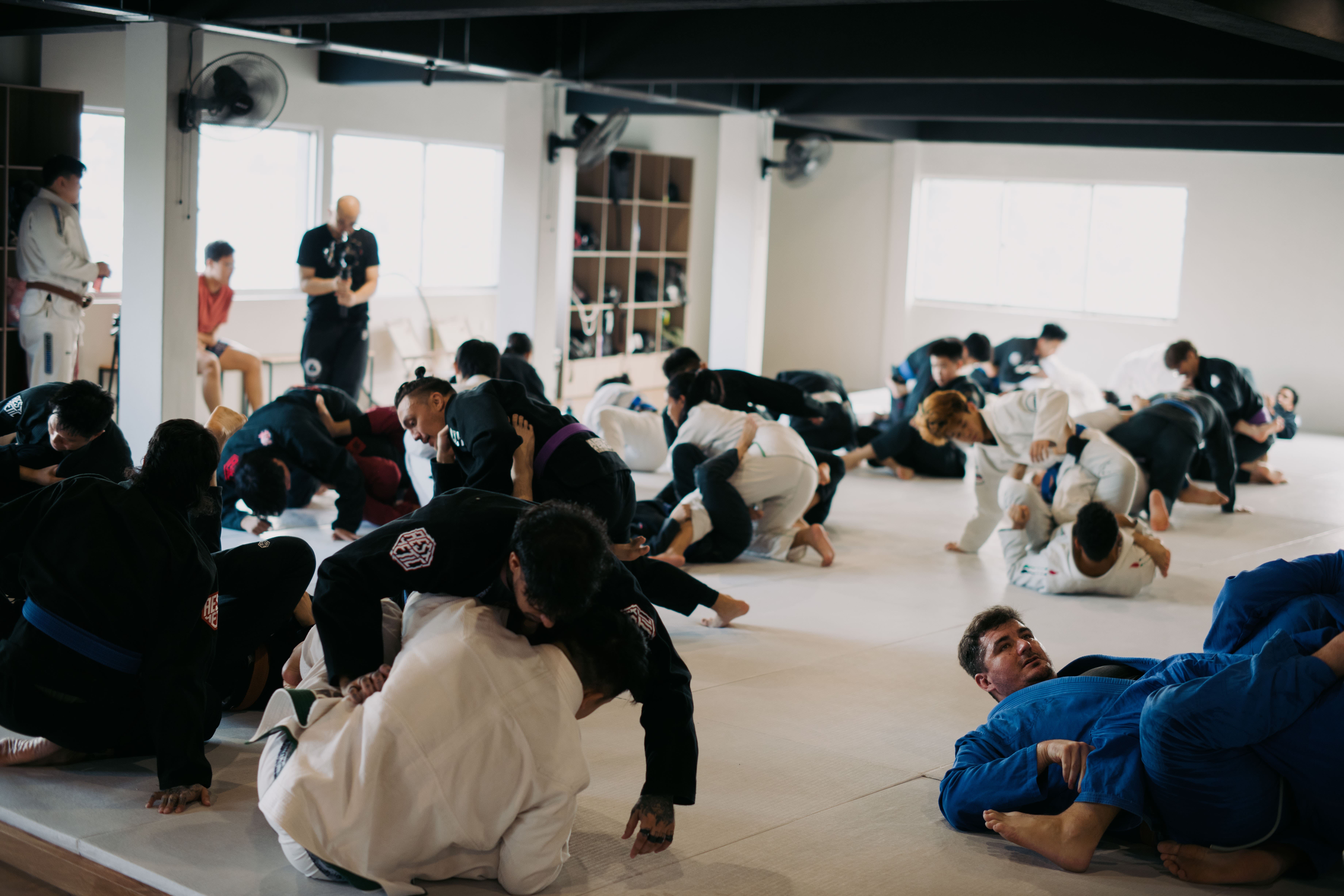 Fat Cat Jiu Jitsu Club: Read Reviews and Book Classes on ClassPass