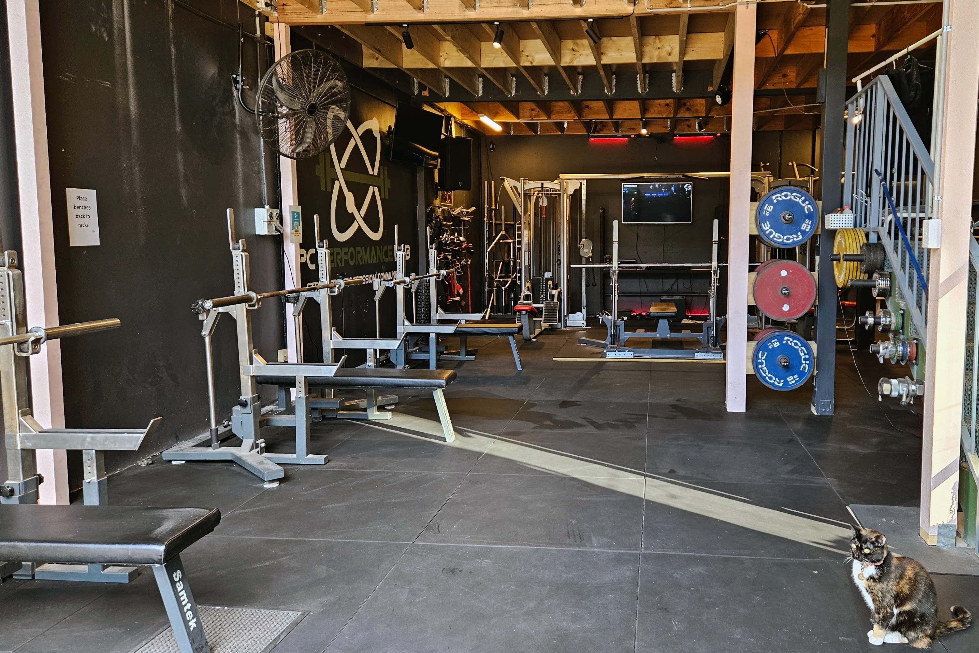 SPC Performance Lab: Read Reviews and Book Classes on ClassPass