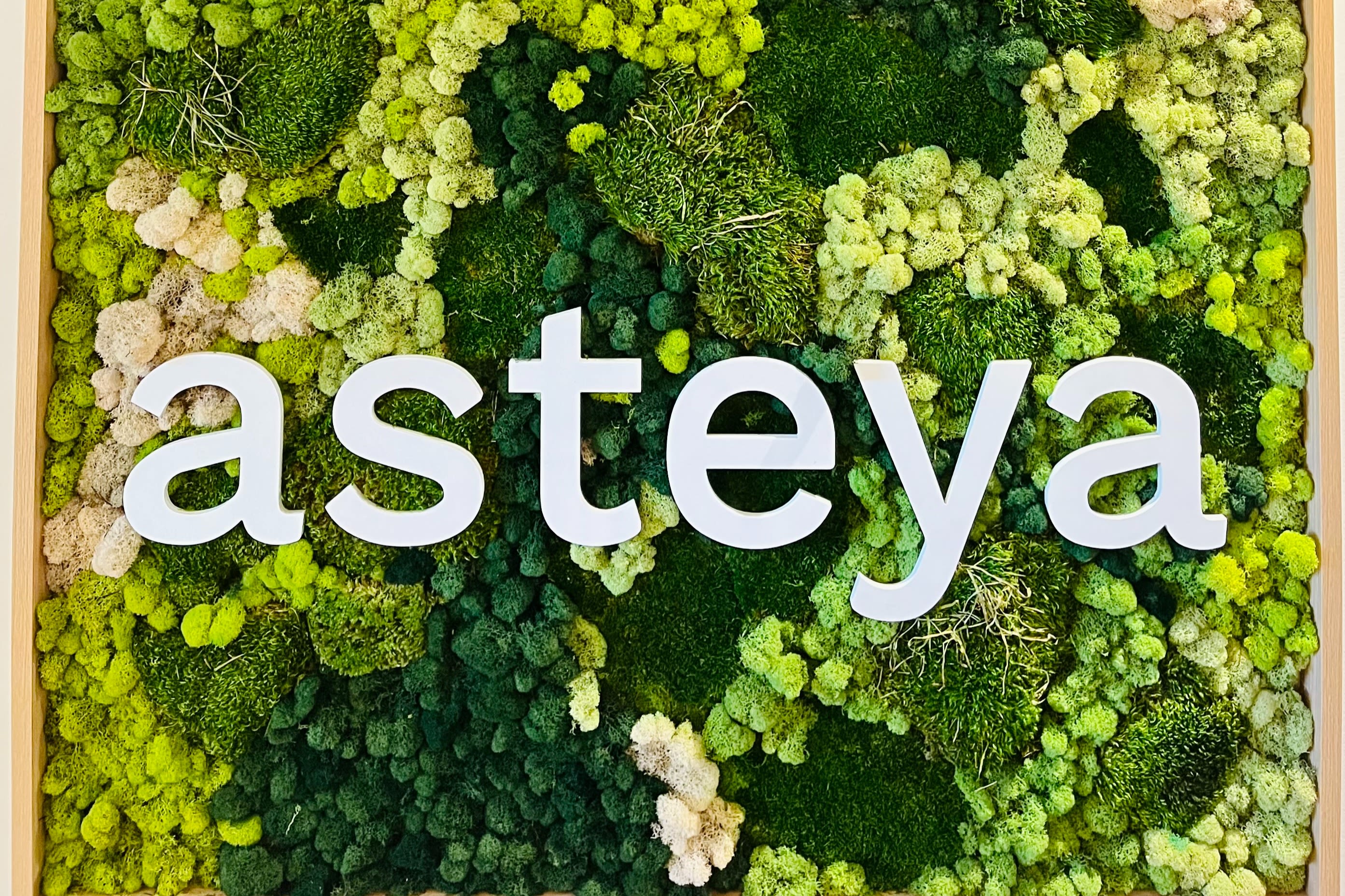 Asteya: Read Reviews and Book Classes on ClassPass