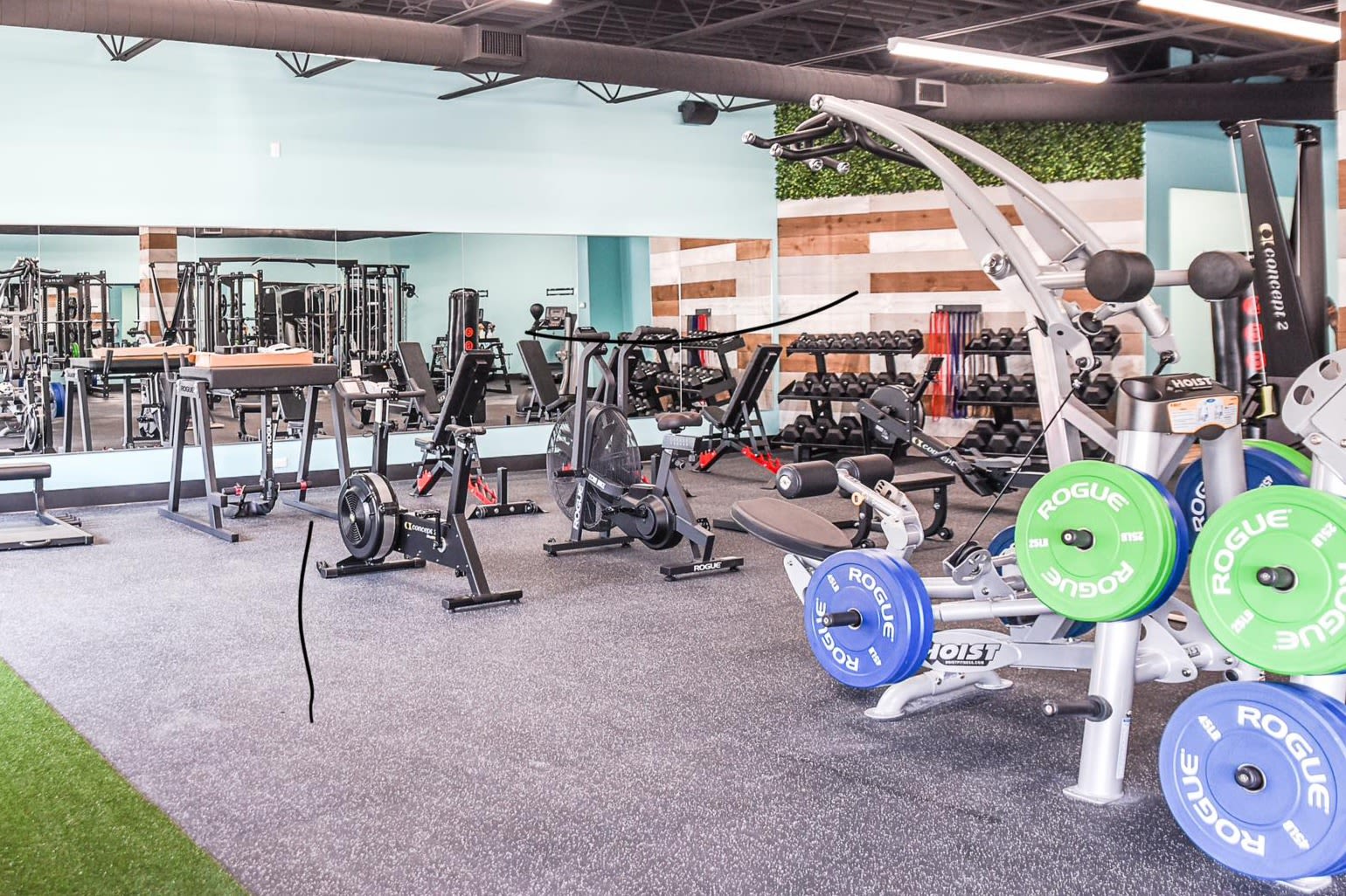 Suyin Lifts Gym - Carling: Read Reviews and Book Classes on ClassPass