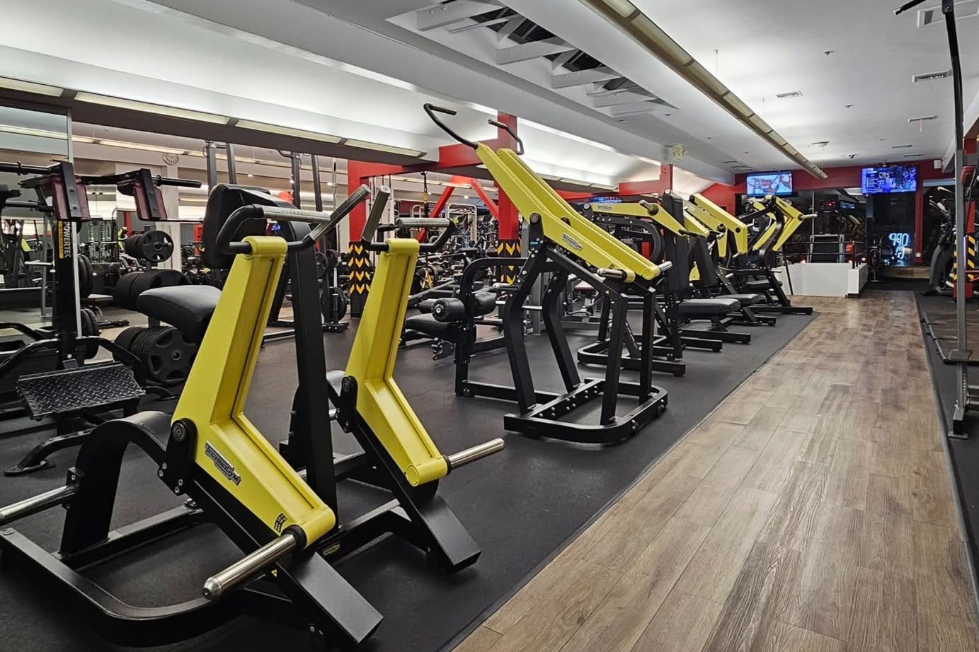 Alex Fitness: Read Reviews and Book Classes on ClassPass