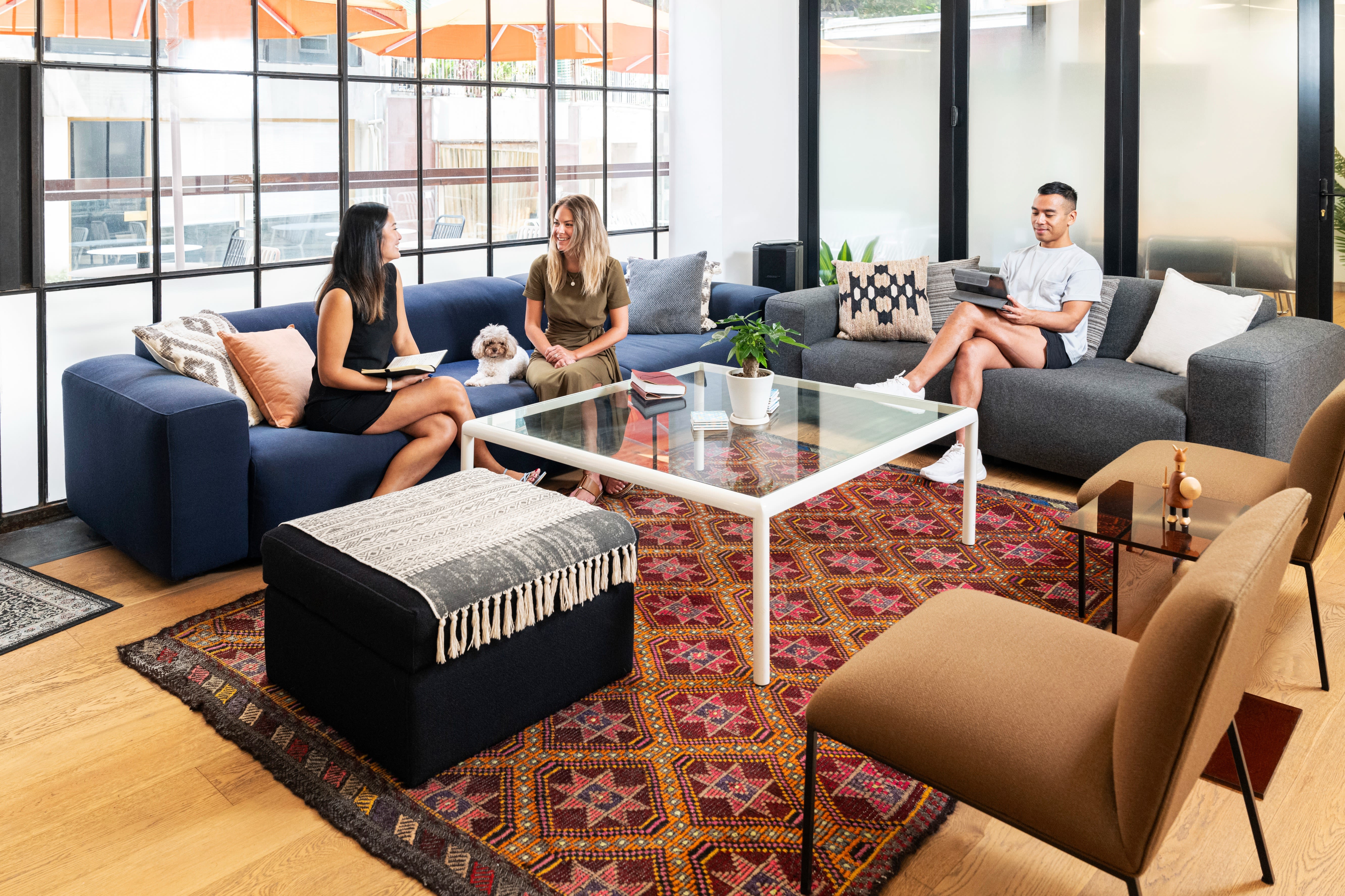 The Hive Poho: Read Reviews and Book Classes on ClassPass