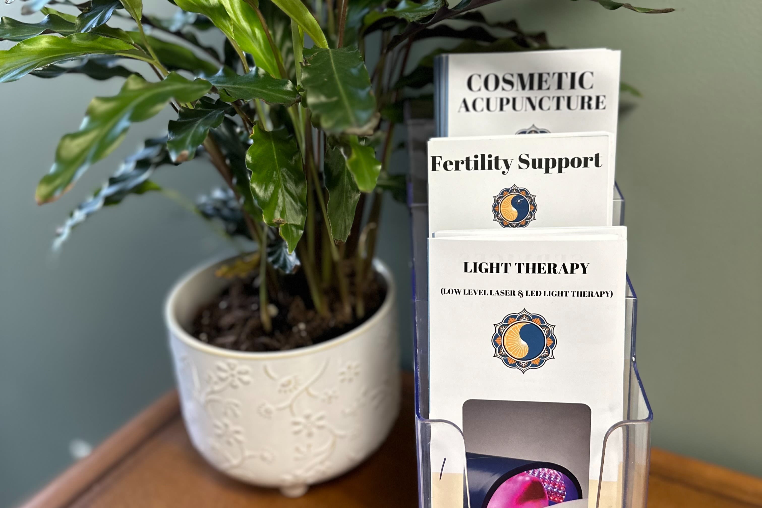 Life Spark Acupuncture: Read Reviews and Book Classes on ClassPass