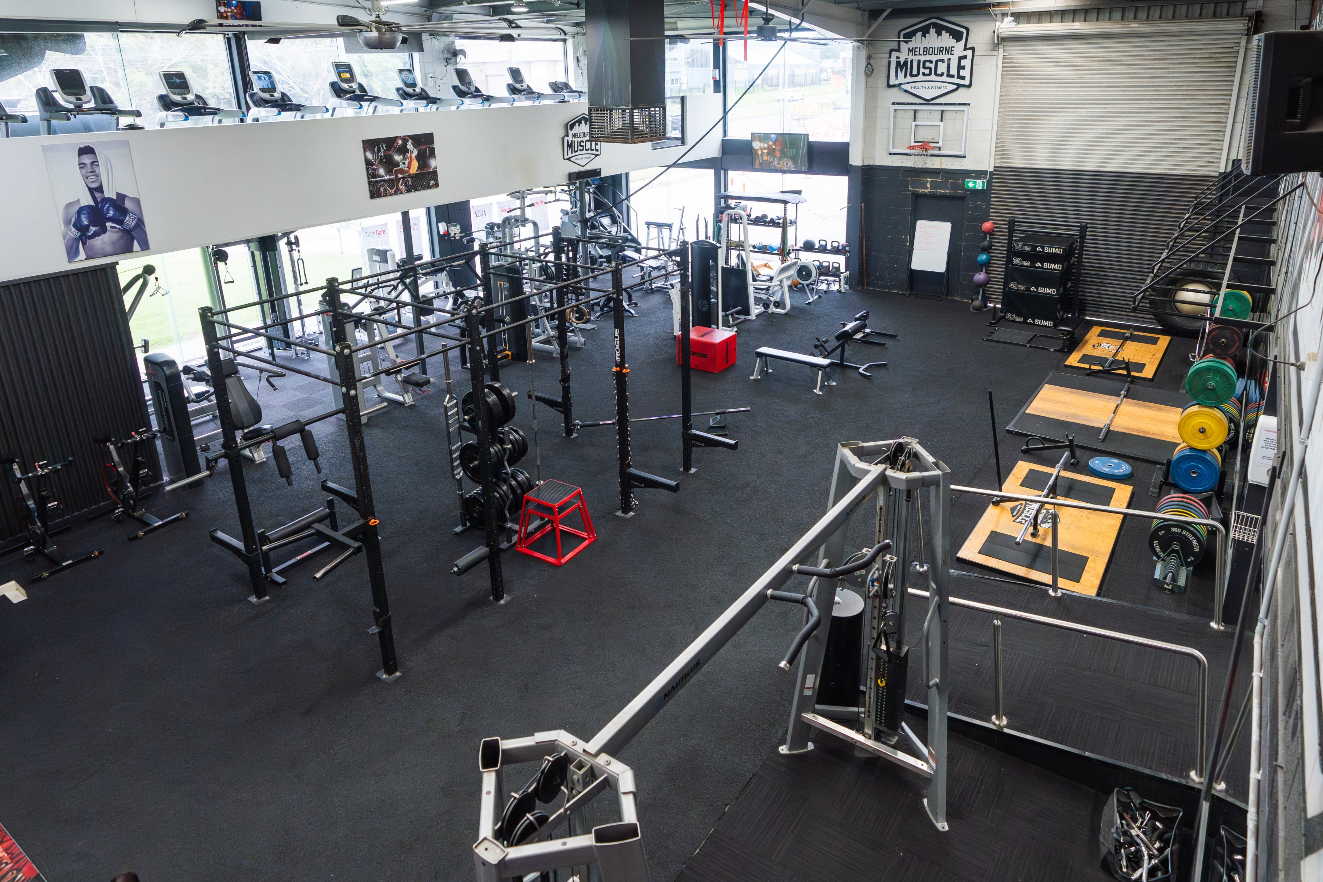Melbourne Muscle Gym: Read Reviews and Book Classes on ClassPass