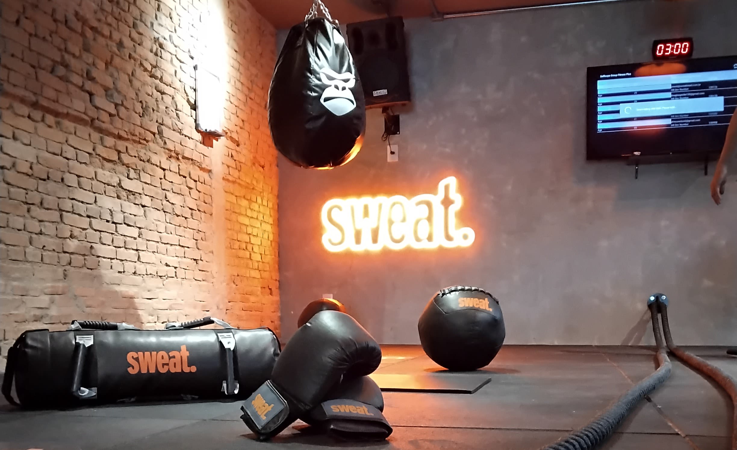 SWEAT - Circuito HIIT FIGHT: Read Reviews and Book Classes on ClassPass