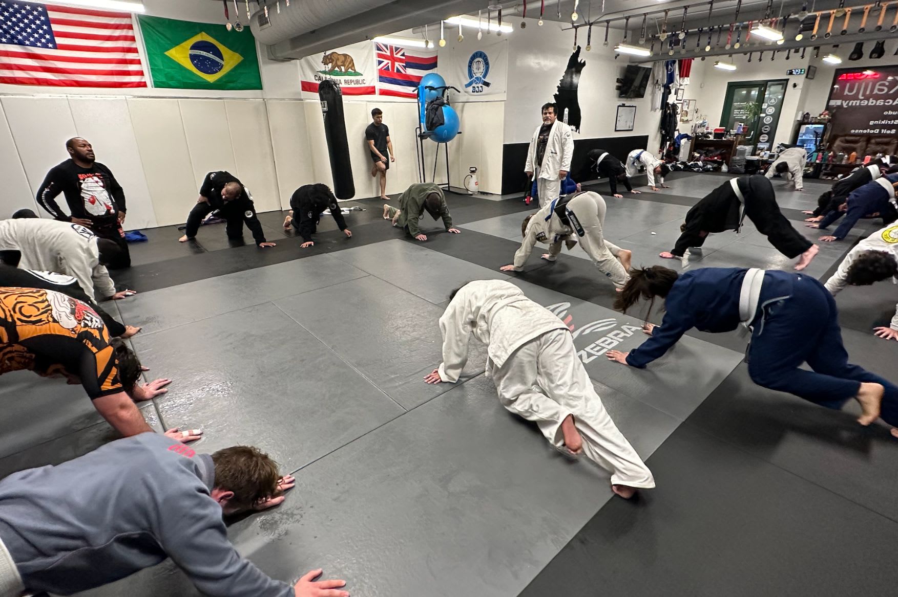 Kaiju Bros Jiu-Jitsu Academy: Read Reviews and Book Classes on ClassPass