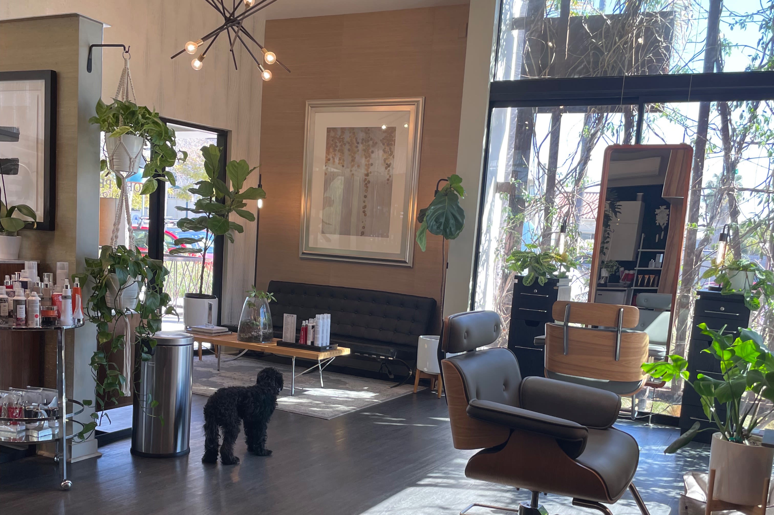 John Perry Salon: Read Reviews and Book Classes on ClassPass