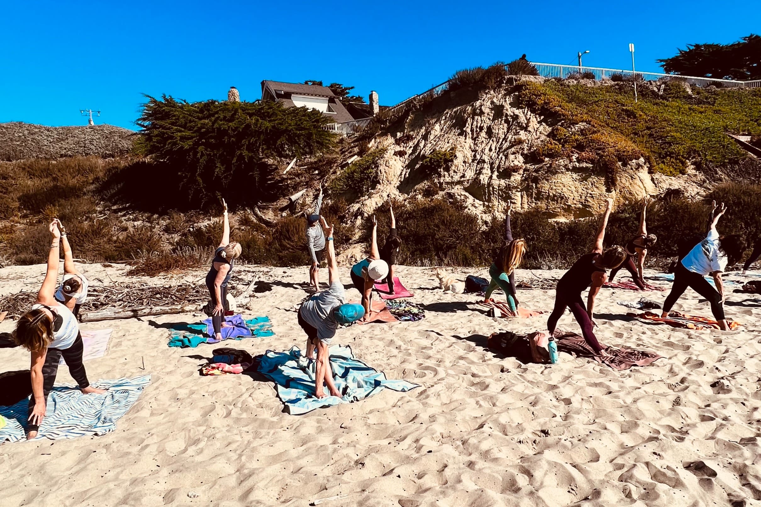 Yoga with Robin: Read Reviews and Book Classes on ClassPass