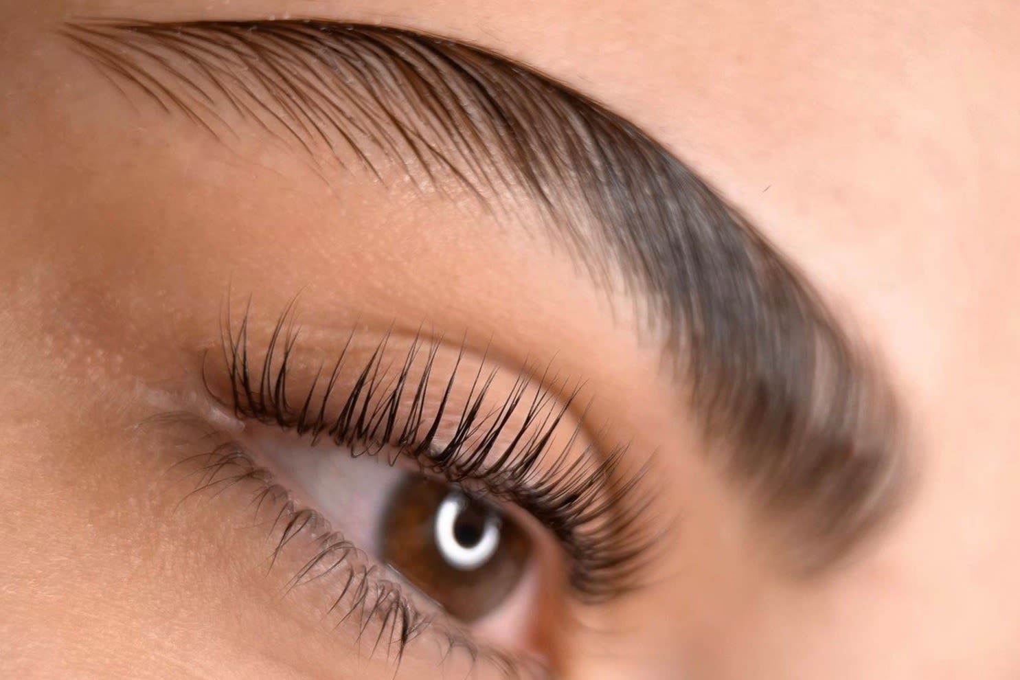 Stunning Brows NY: Read Reviews and Book Classes on ClassPass