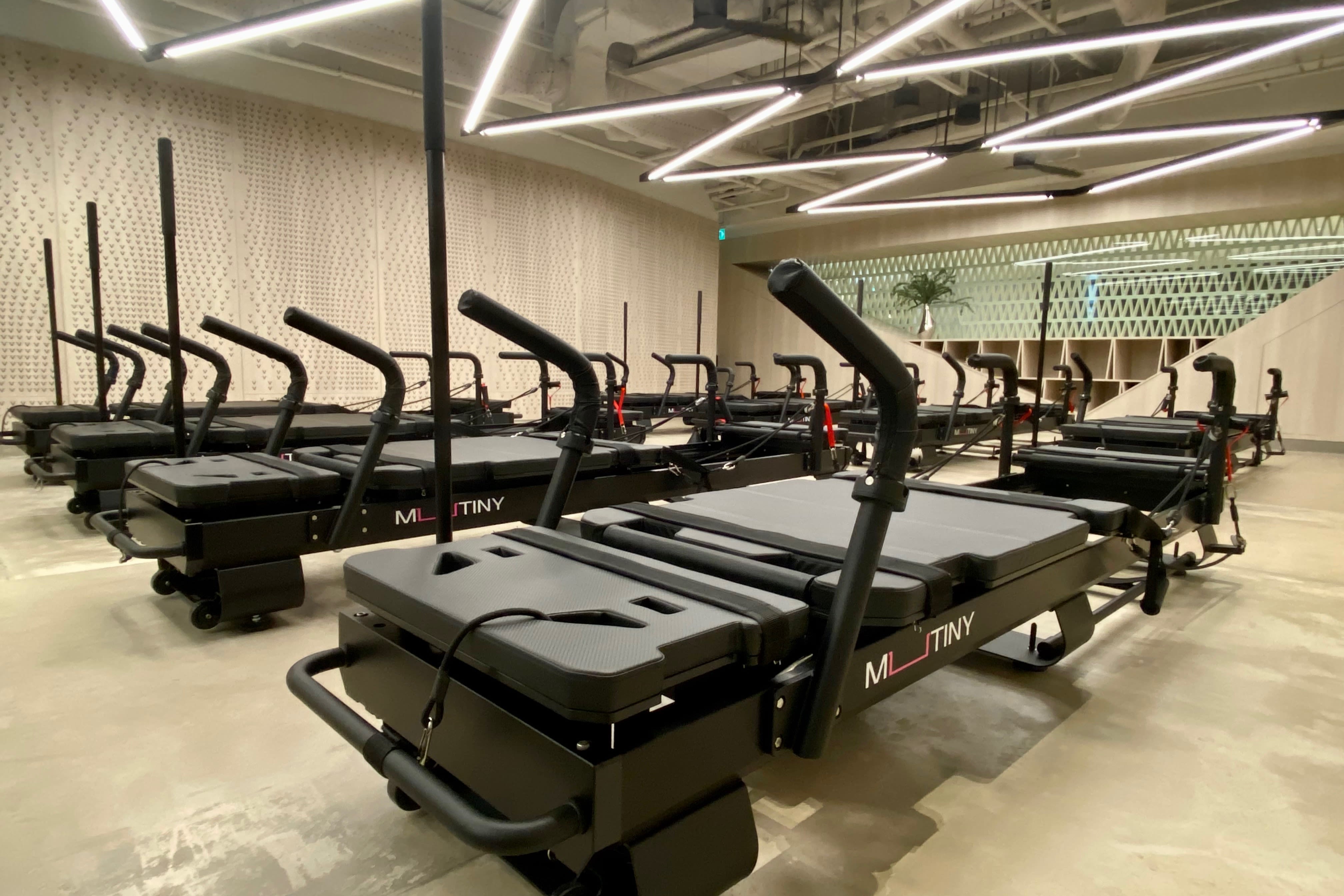 MUTINY - Palais Renaissance: Read Reviews and Book Classes on ClassPass