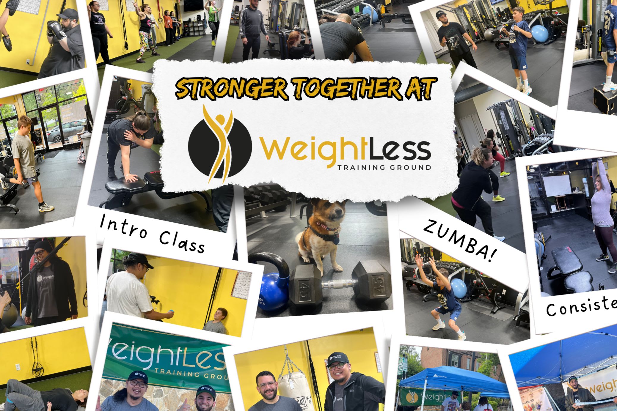 WeightLess Training Ground: Read Reviews and Book Classes on ClassPass