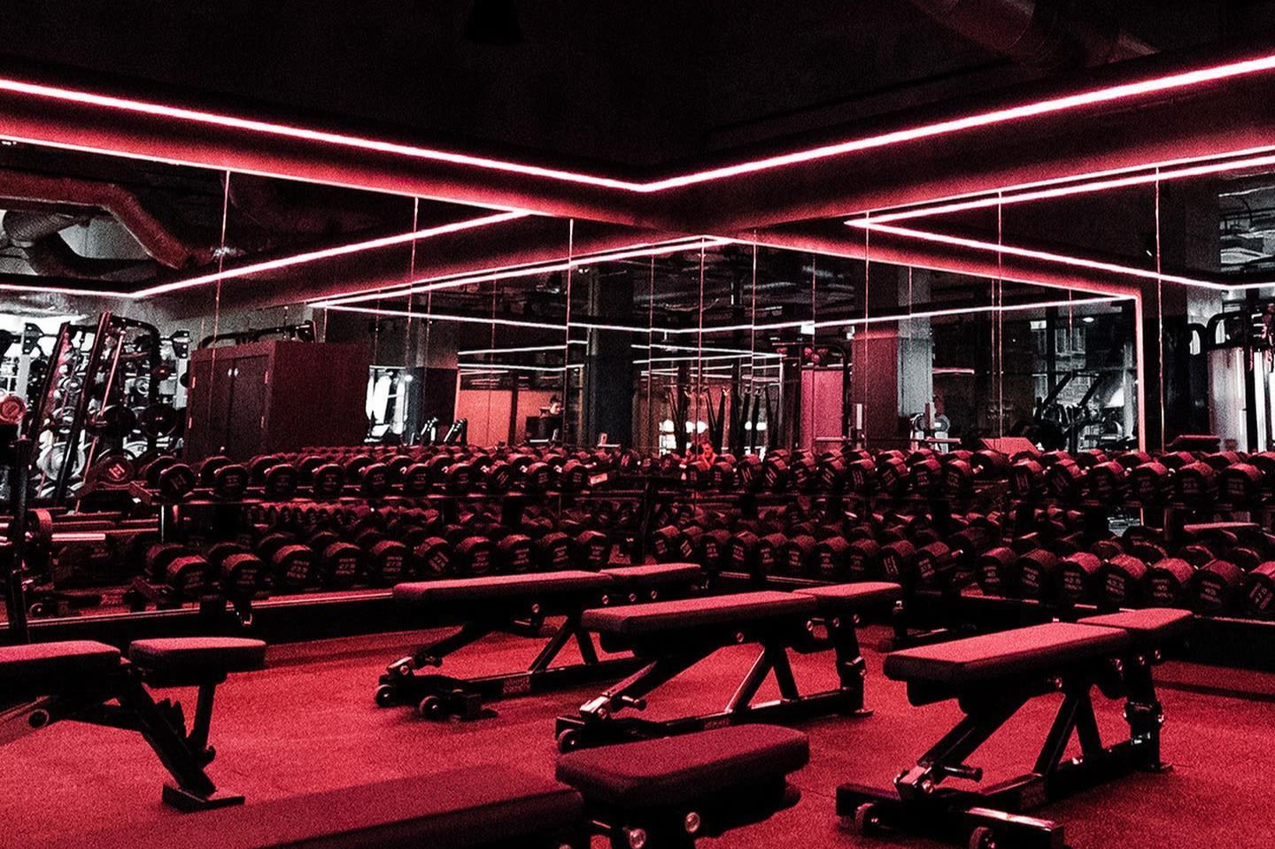 SYN Gym: Read Reviews and Book Classes on ClassPass