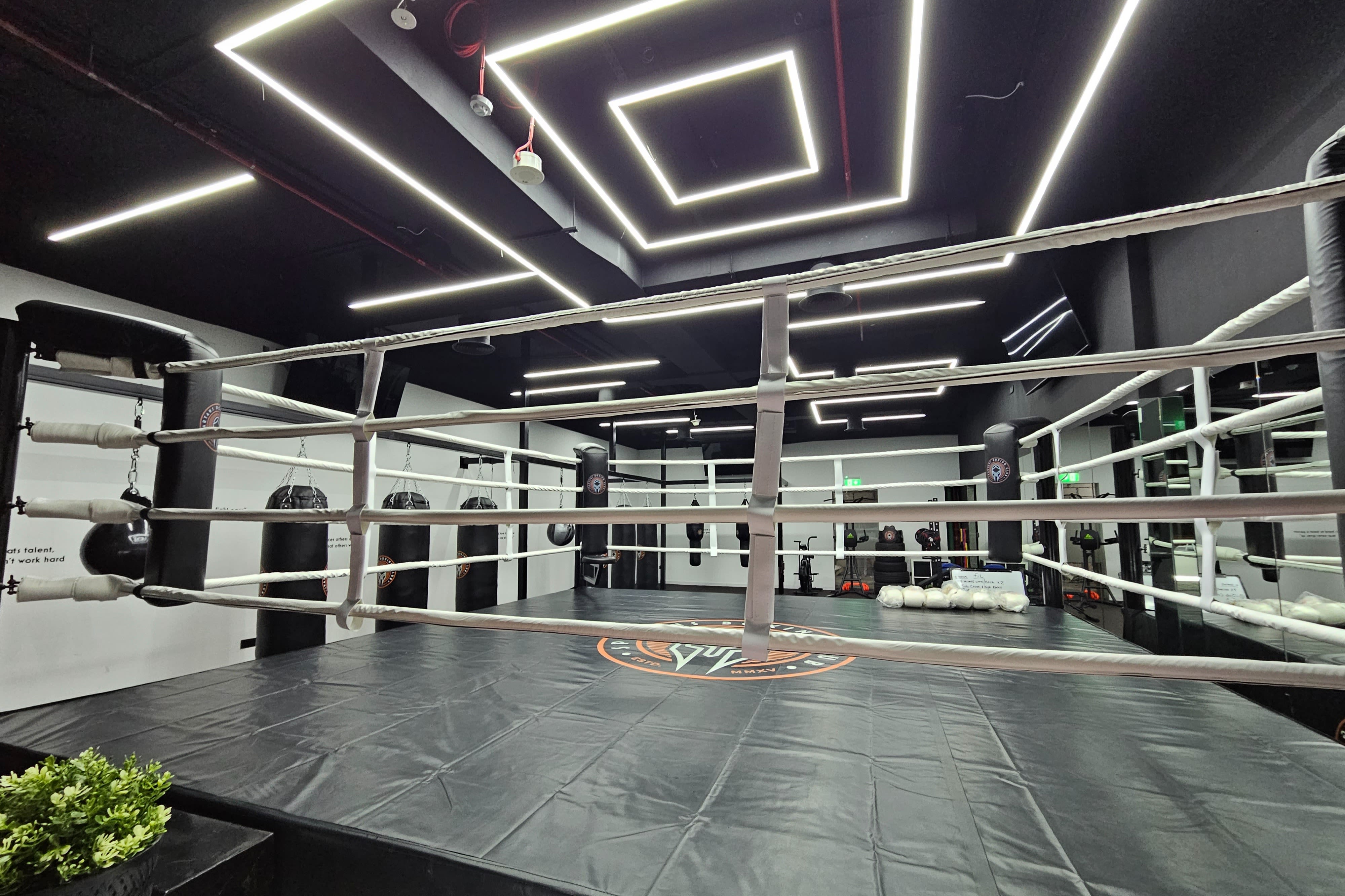 Spartans Boxing Club - Townsquare: Read Reviews and Book Classes on ...