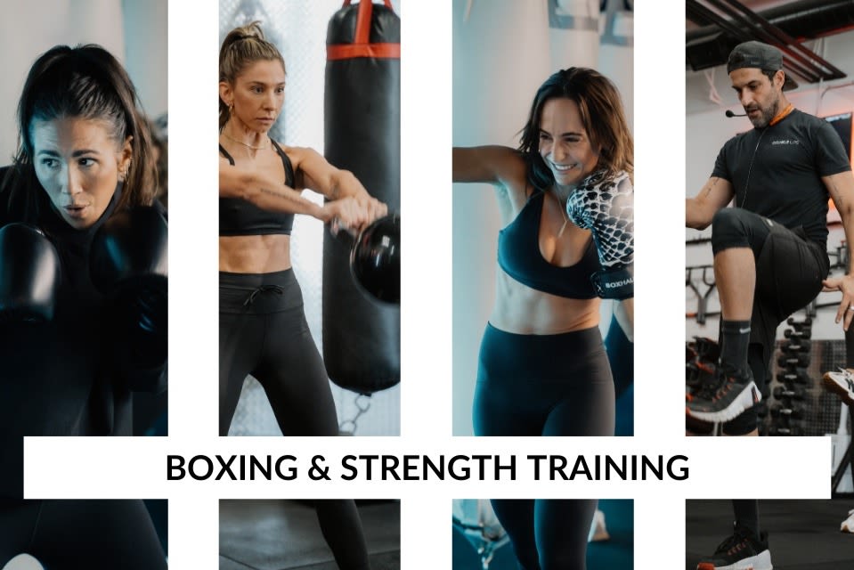 BOXHAUS: Read Reviews and Book Classes on ClassPass