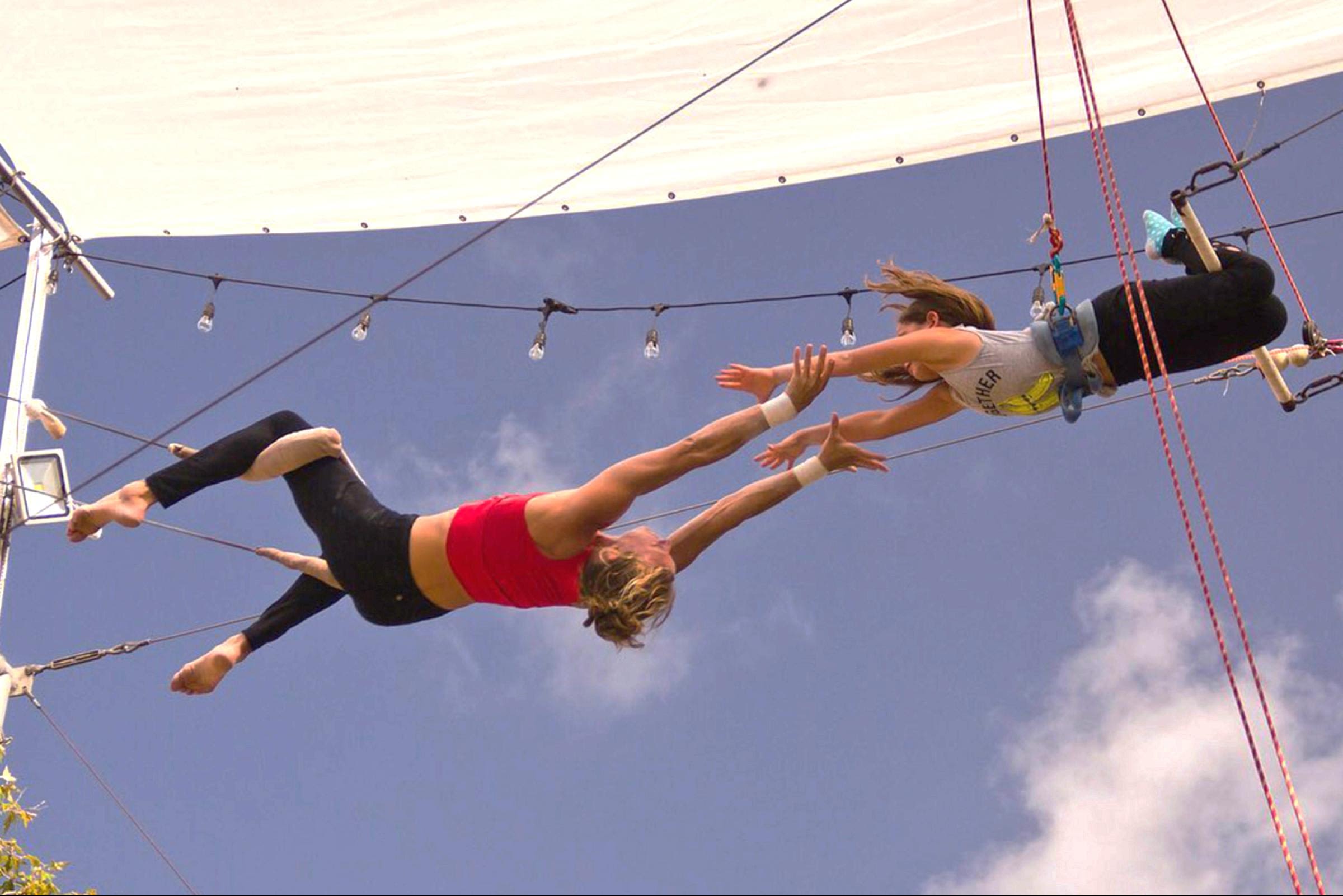 Trapeze High: Read Reviews and Book Classes on ClassPass