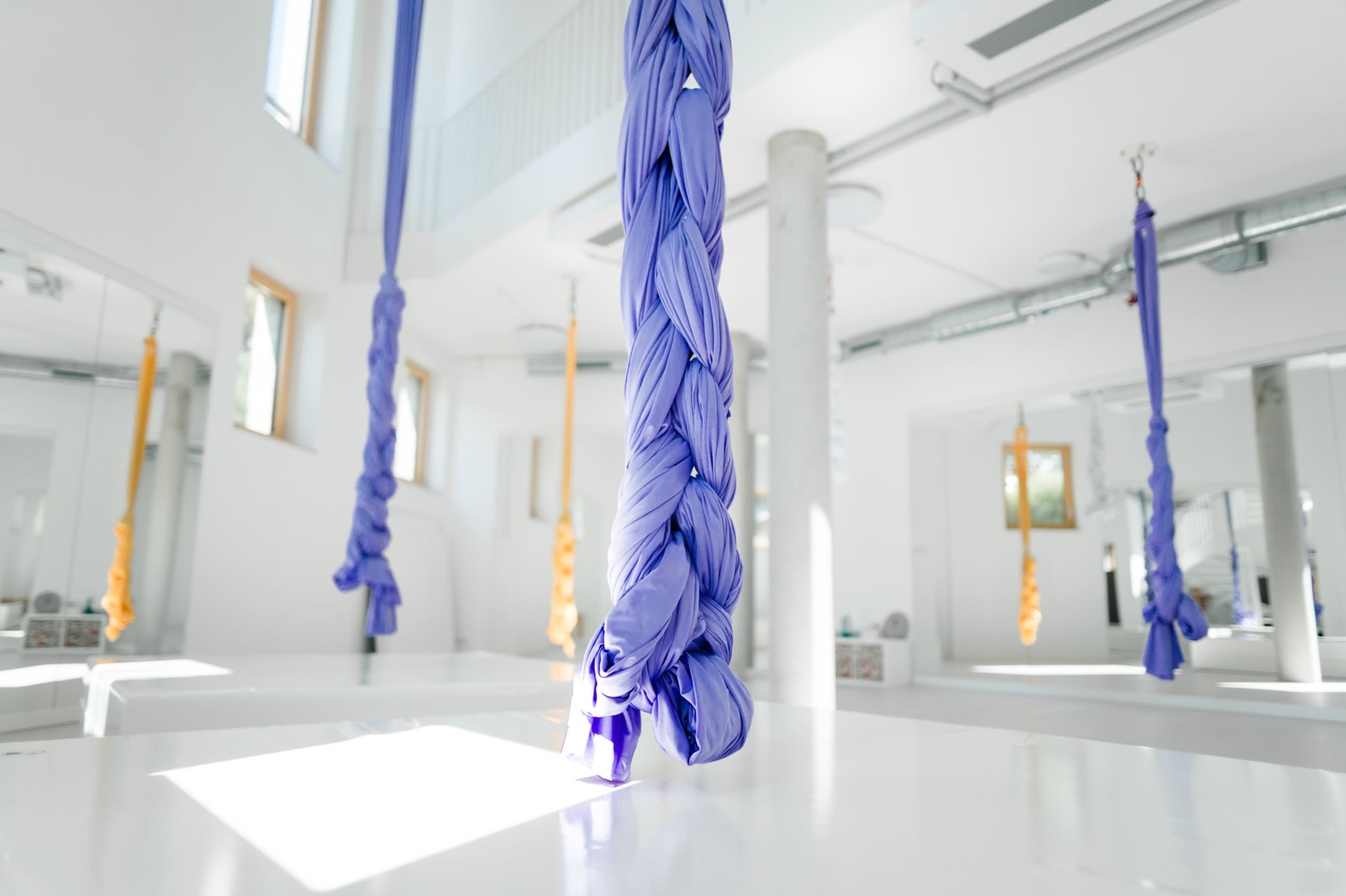 Aerial Loft Ludwigsburg: Read Reviews and Book Classes on ClassPass