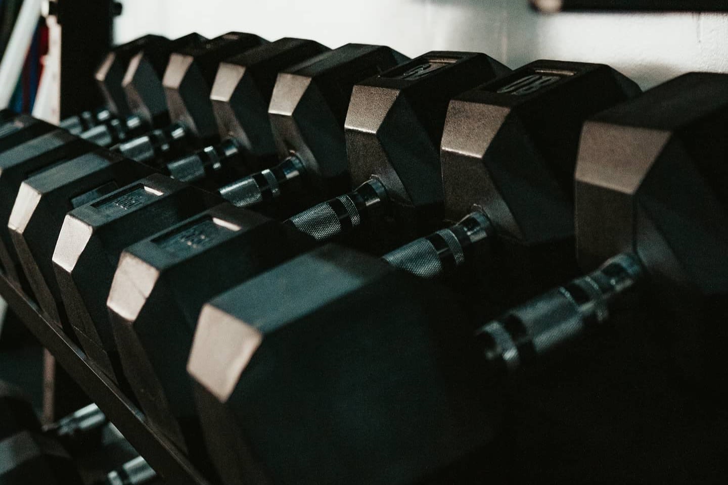 Ludus Performance LLC: Read Reviews and Book Classes on ClassPass