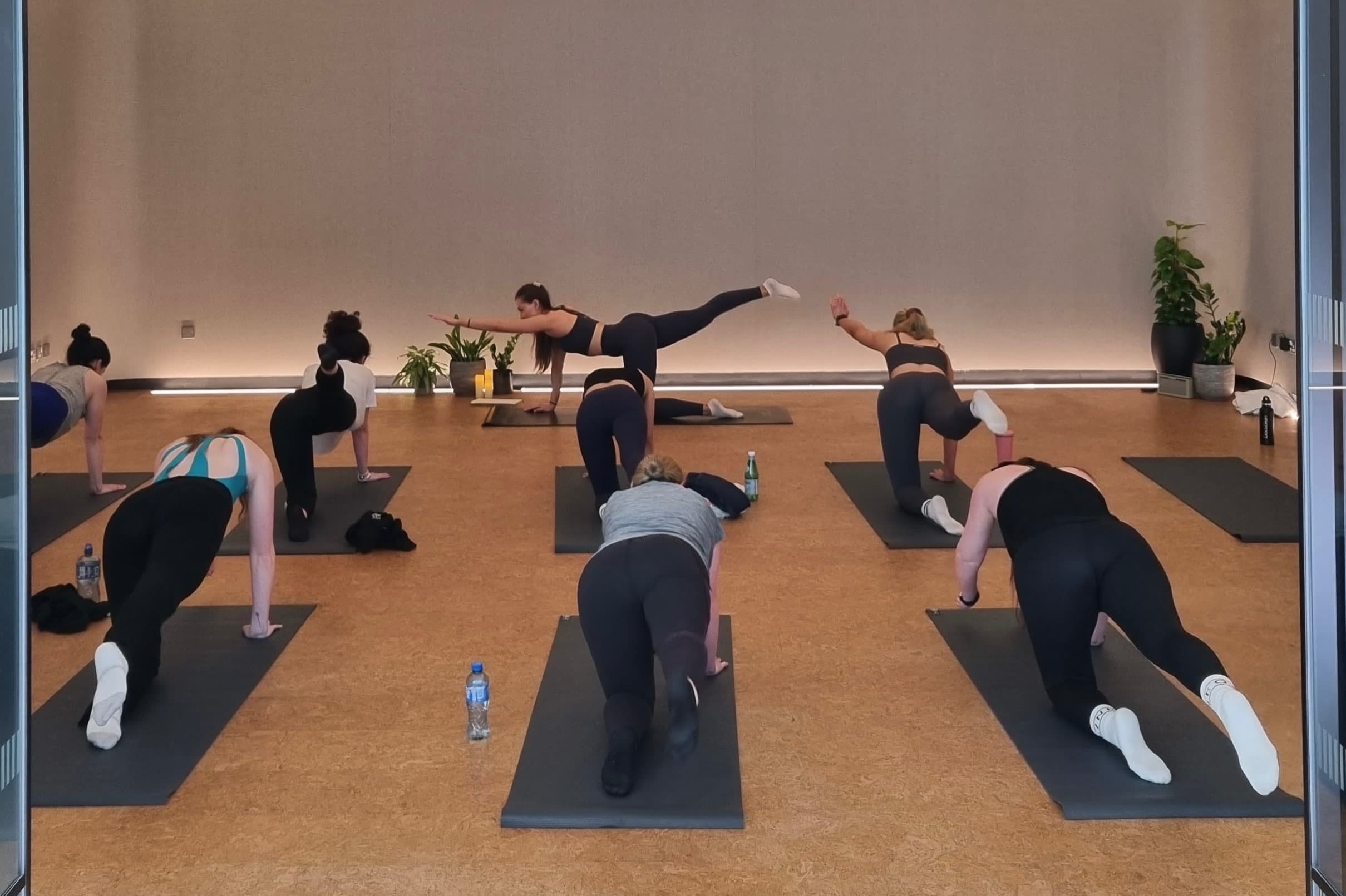 Active Form Pilates: Read Reviews and Book Classes on ClassPass