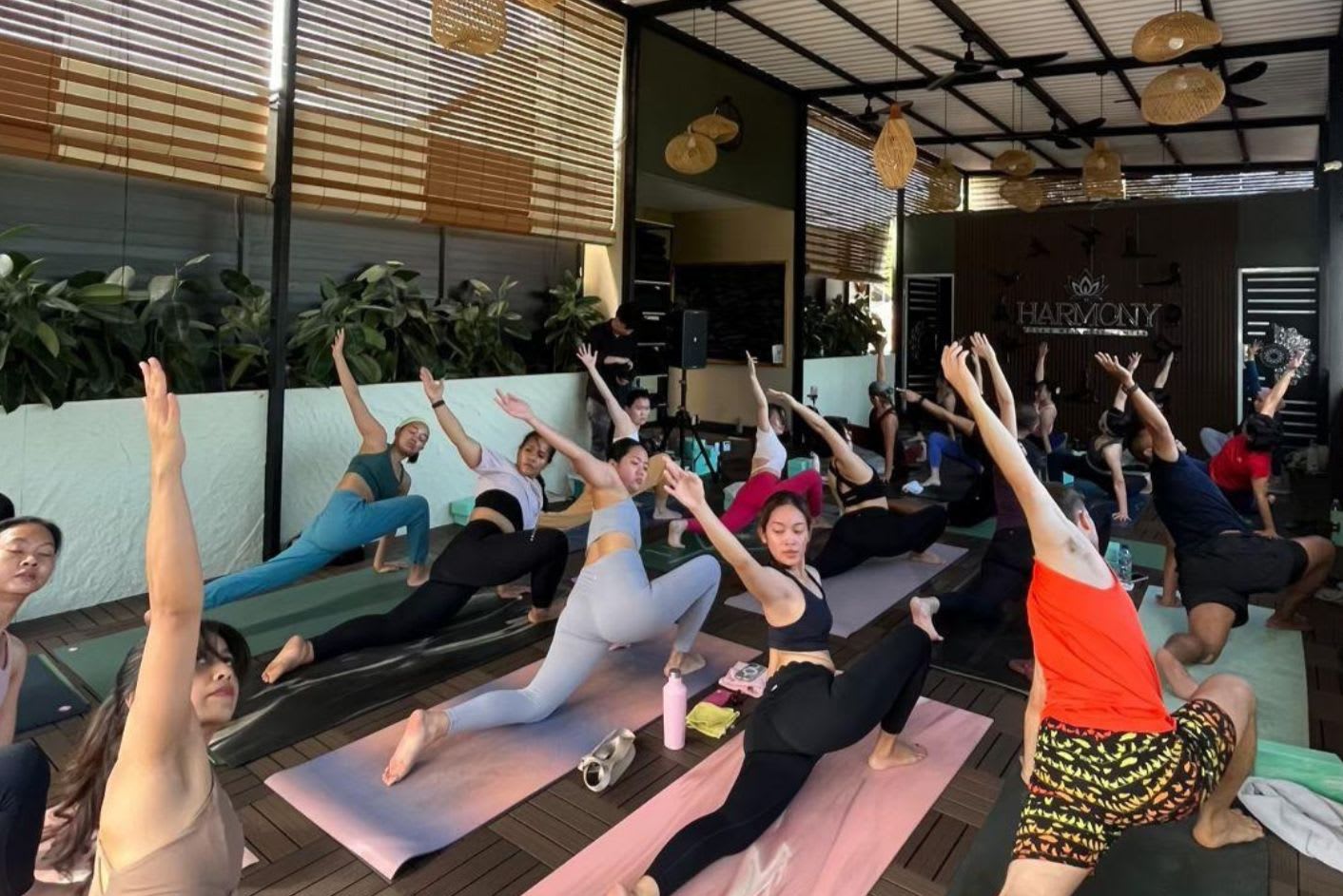 Harmony Yoga & Wellness Center: Read Reviews and Book Classes on ClassPass