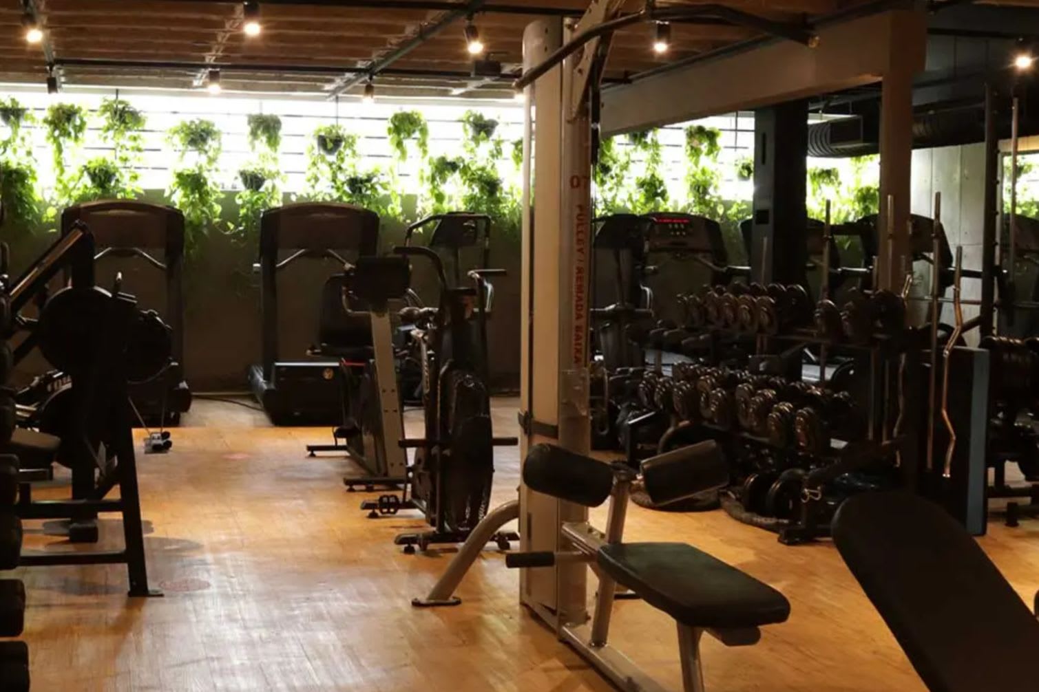 Sportif Fitness Club: Read Reviews and Book Classes on ClassPass
