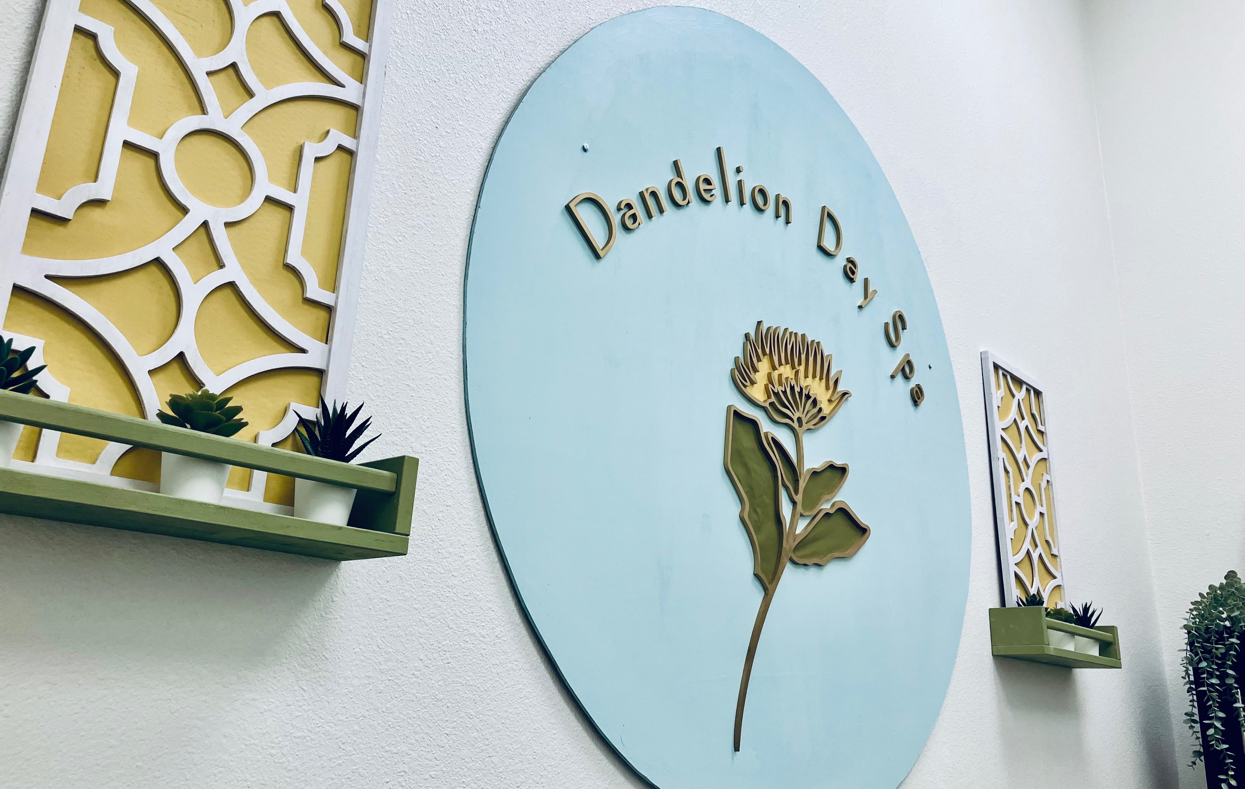 Dandelion Day Spa: Read Reviews and Book Classes on ClassPass