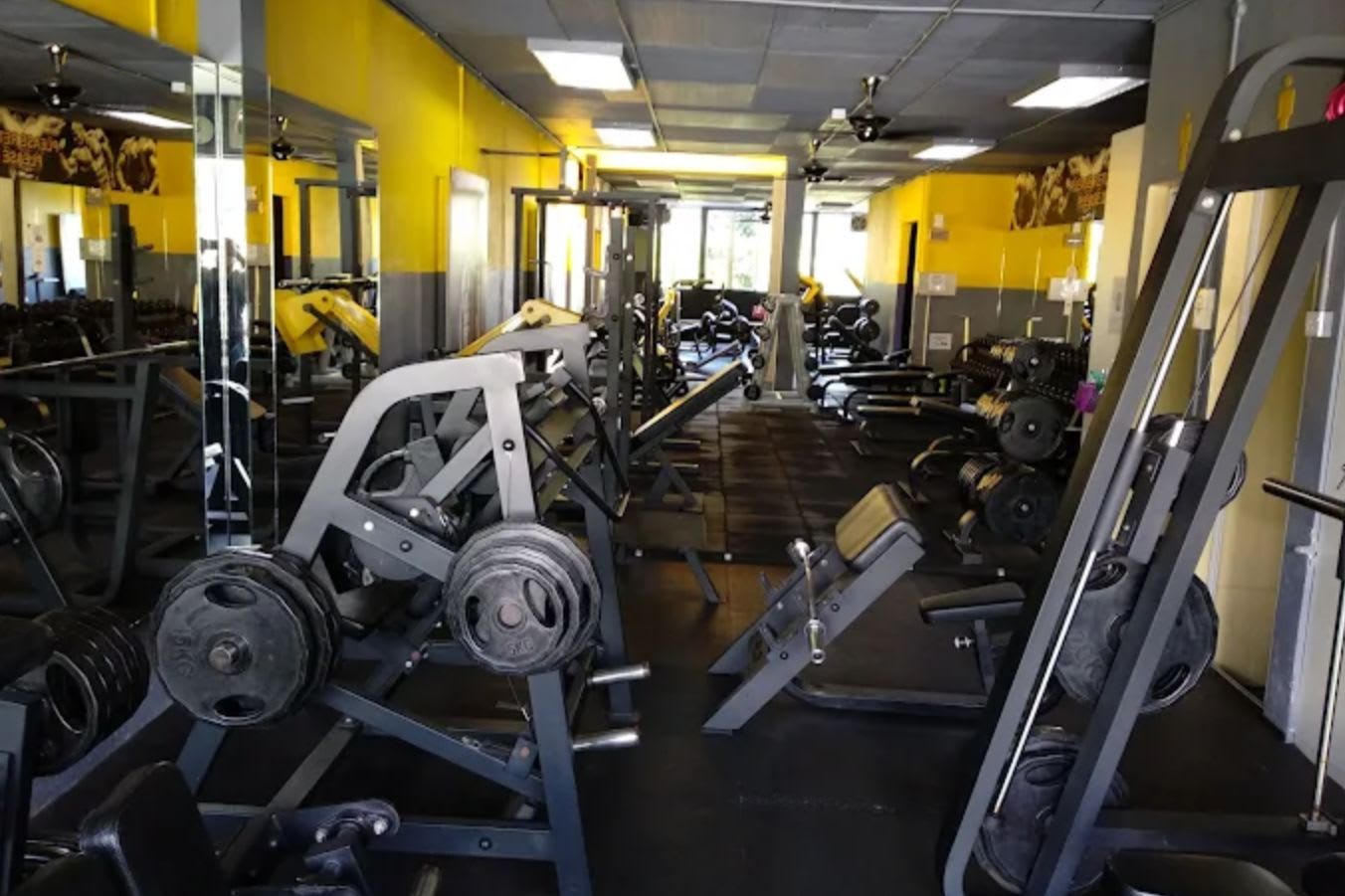 Seven Star Gym - Gelugor Personal Training: Read Reviews and Book ...