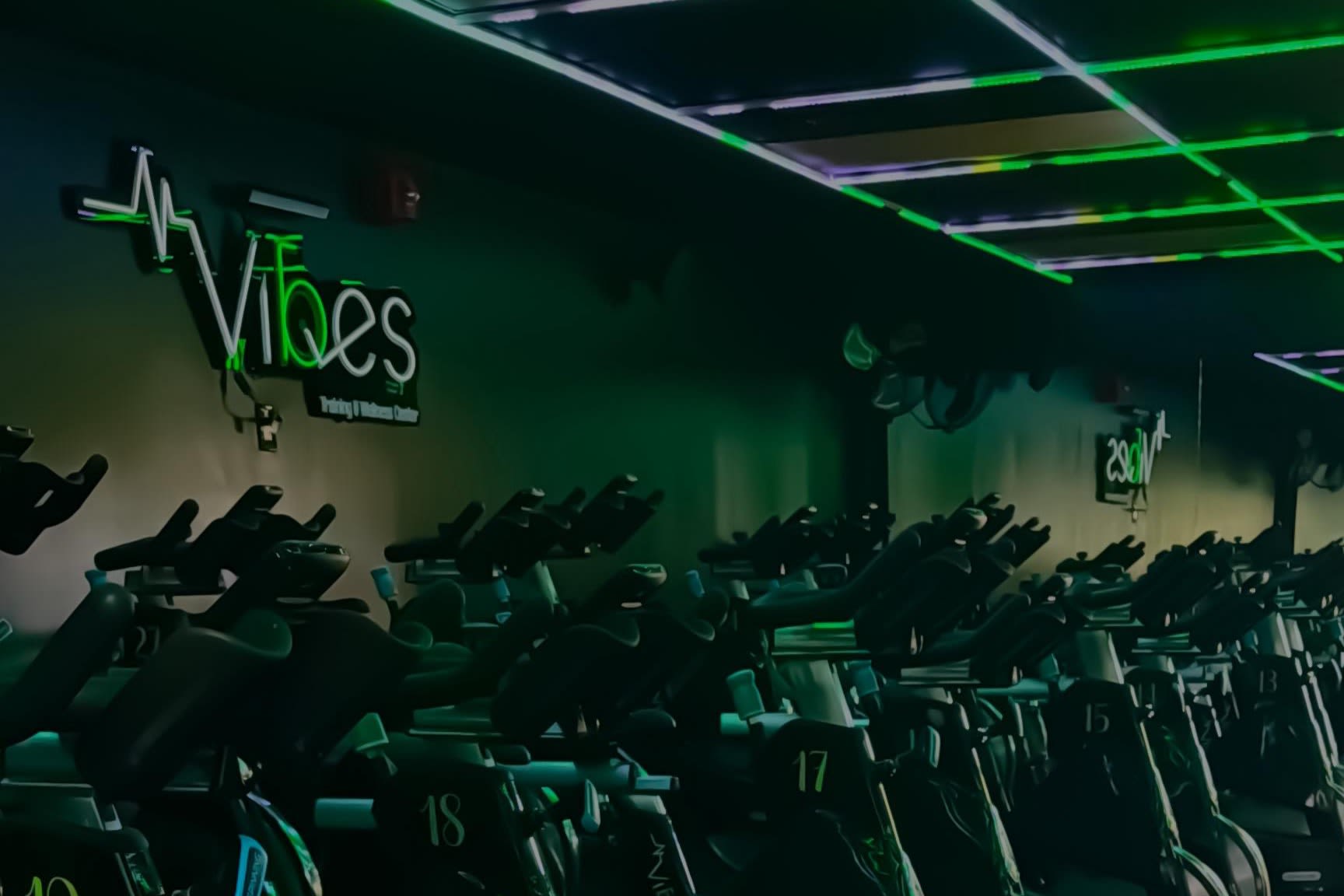 Vibes Training & Wellness Center: Read Reviews and Book Classes on ...
