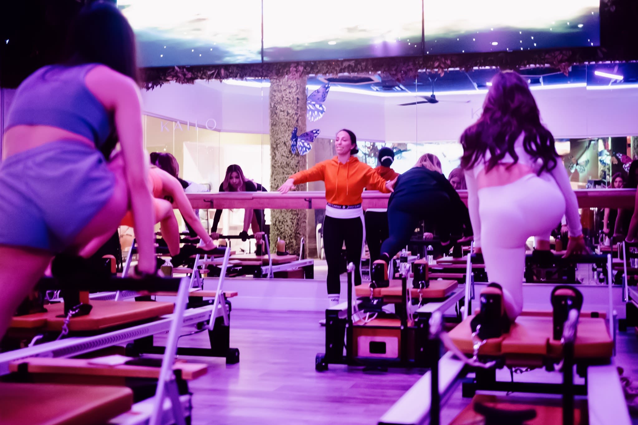 The One Mind & Body: Read Reviews and Book Classes on ClassPass