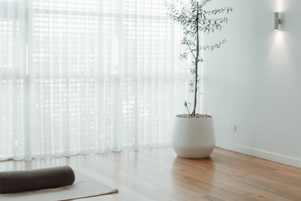 Modern Movement - Balgowlah: Read Reviews and Book Classes on ClassPass