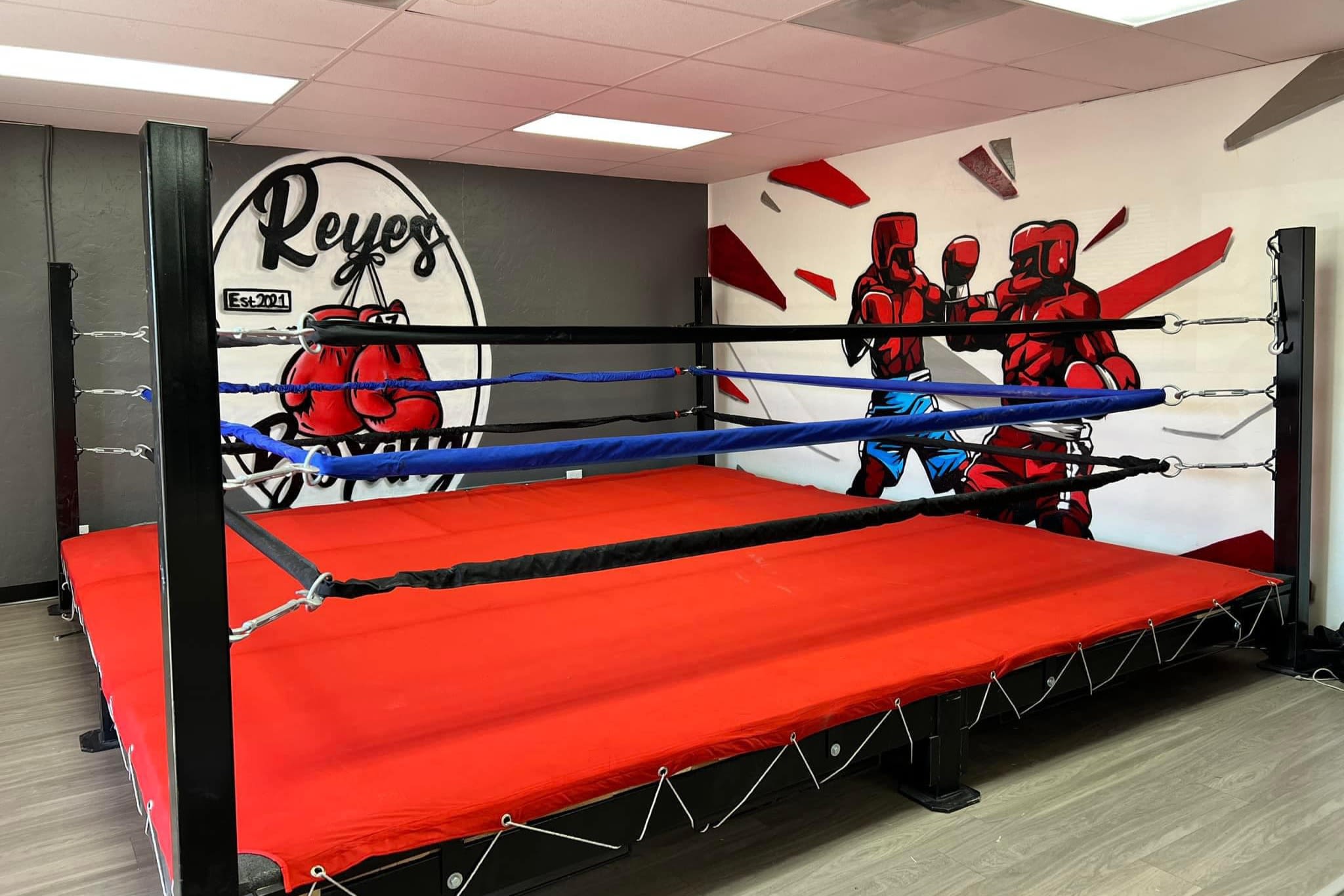 Reyes Boxing Gym: Read Reviews and Book Classes on ClassPass